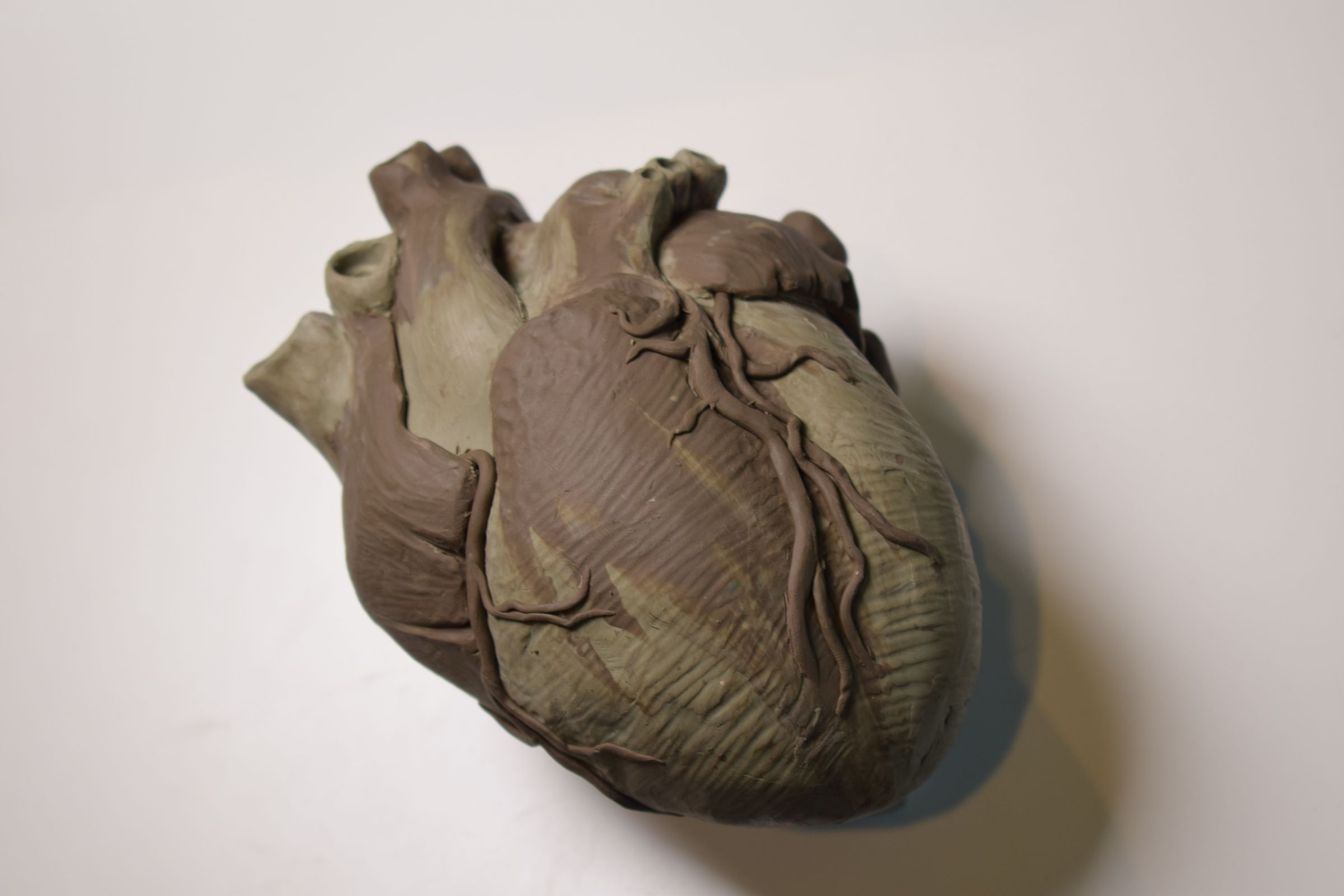 Silicone Skin 3D Printed Realistic Animatronic Heart : 5 Steps (with ...
