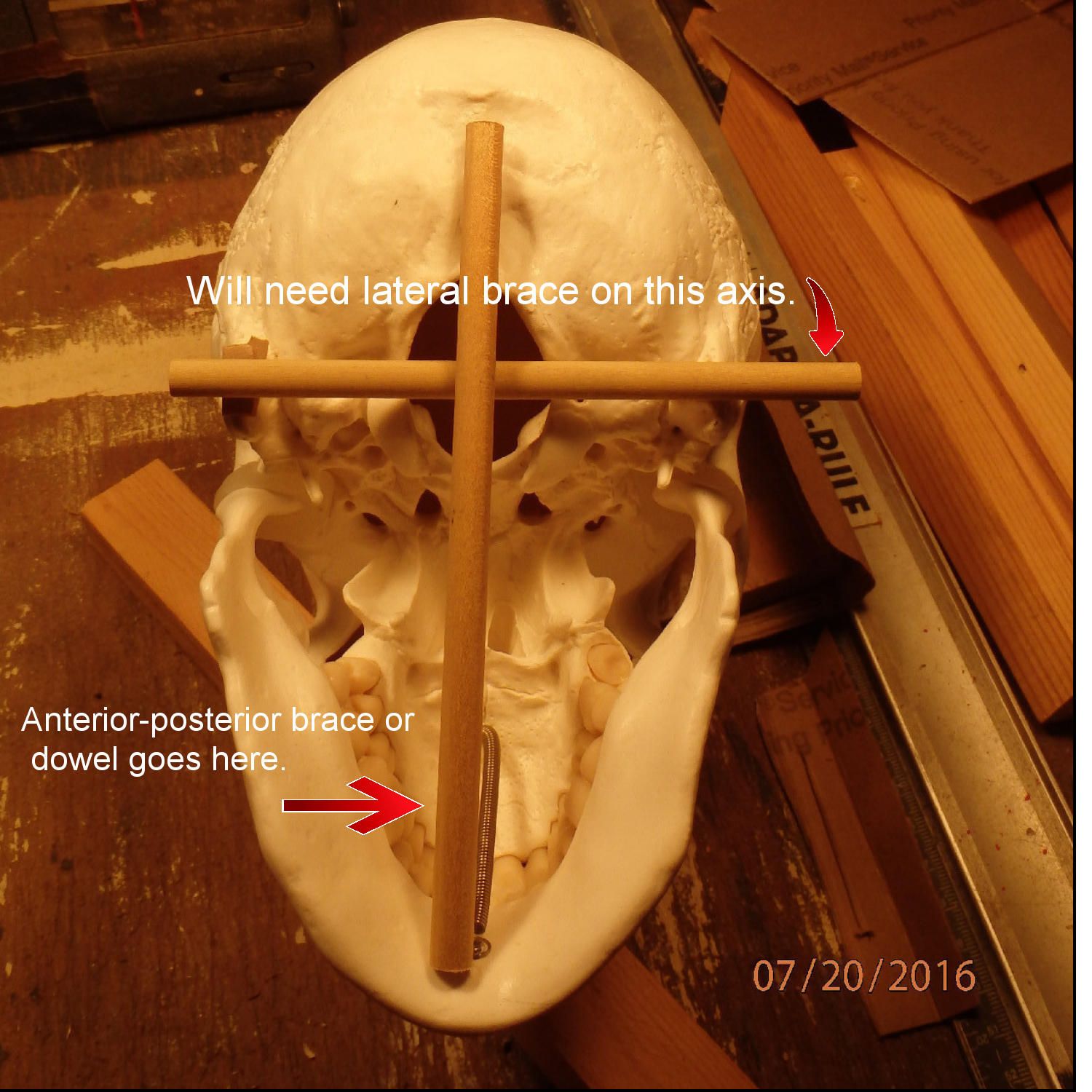 SKULL STAND(S) FOR BUDDING ARTISTS : 7 Steps (with Pictures ...
