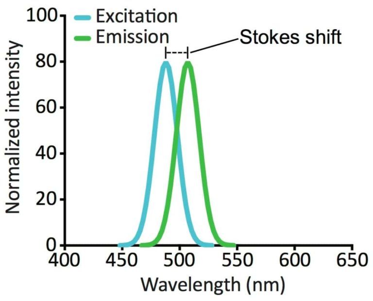 Diy Fluorescence Physicsopenlab A DIY Imaging Fluorometer : 8 Steps