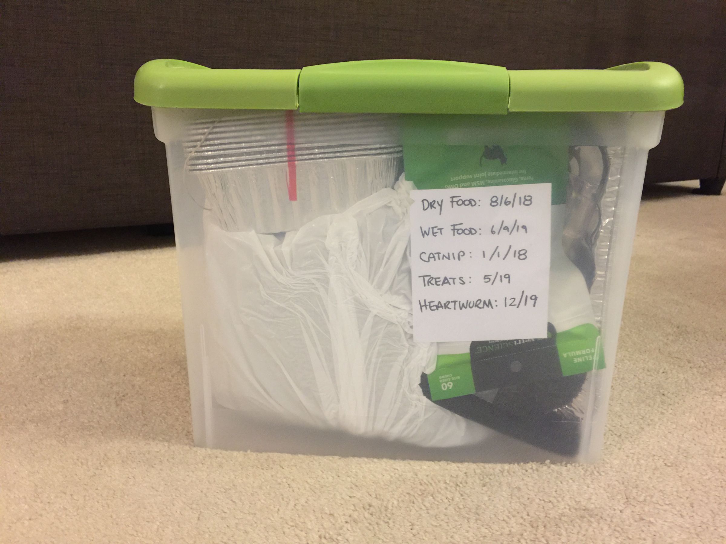 Cat Emergency Kit : 9 Steps (with Pictures) - Instructables
