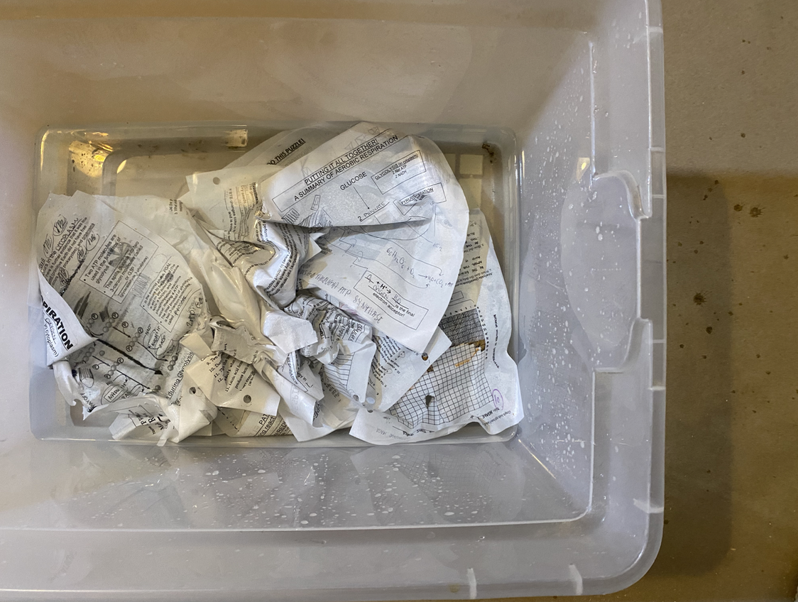 Let's Bring Paper Recycling to Our Homes! : 8 Steps (with Pictures ...
