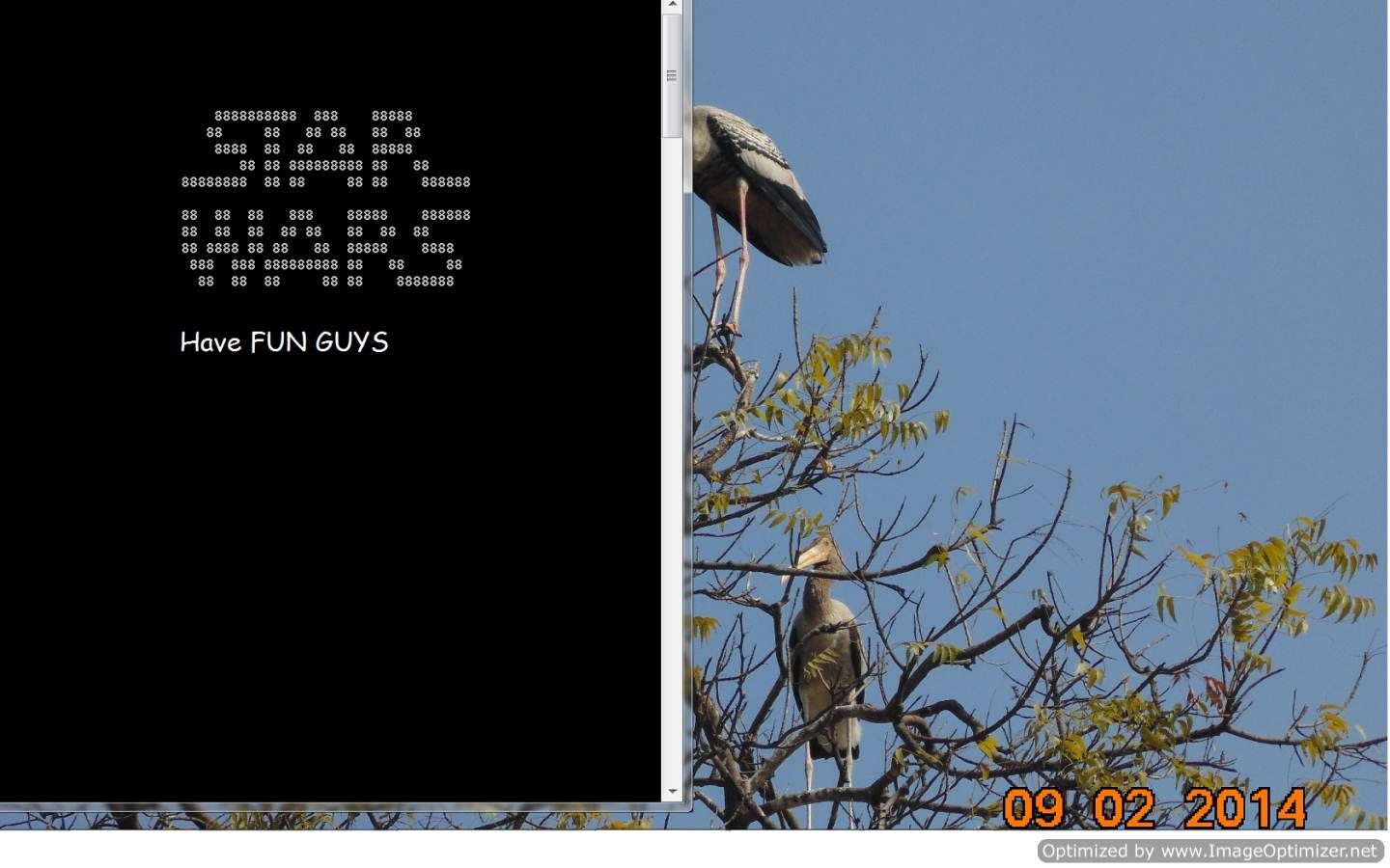 Codings Using NOTEPAD - Instructables