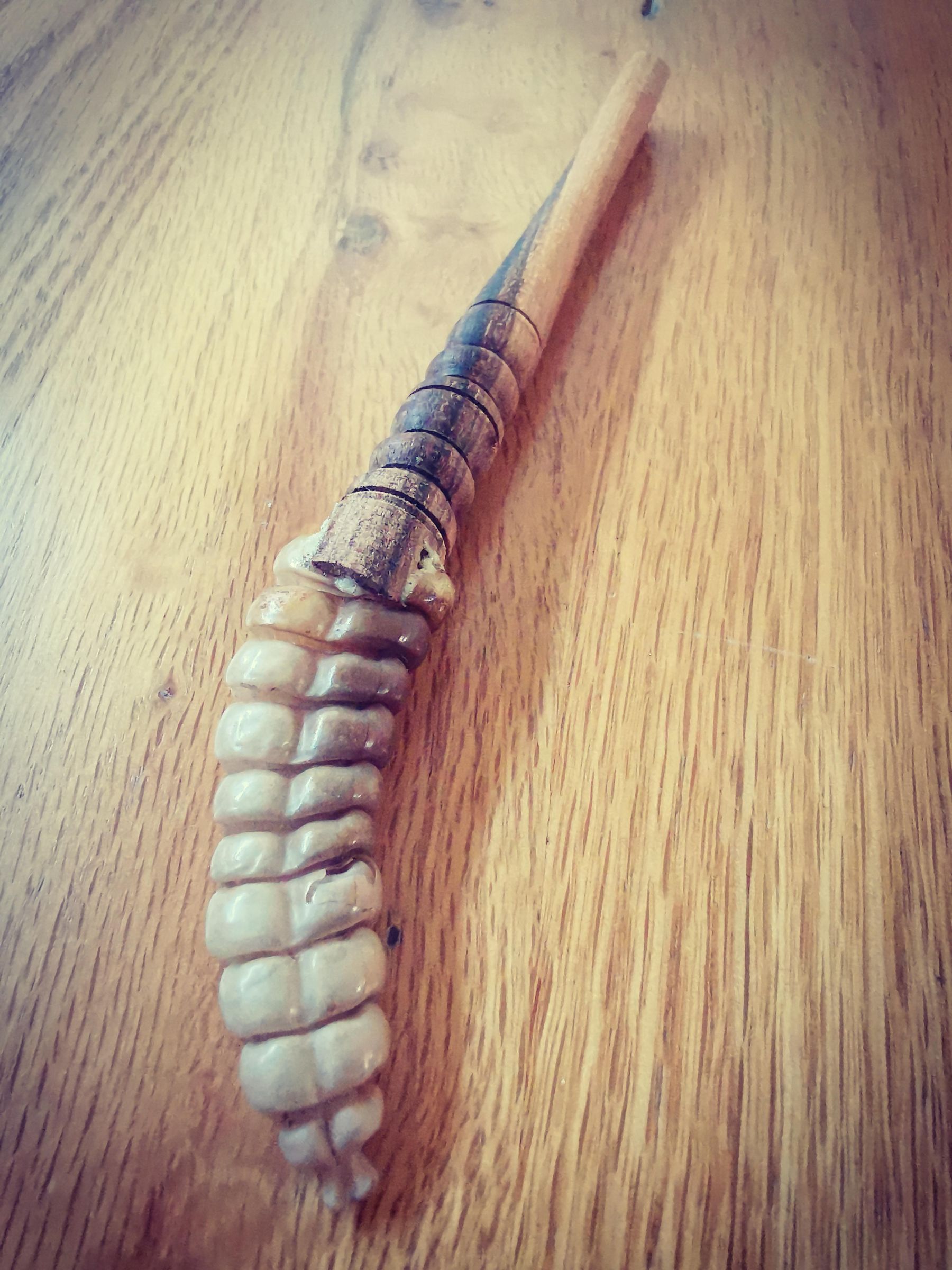 The Death Rattle - a Halloween Prop / Accessory : 4 Steps - Instructables