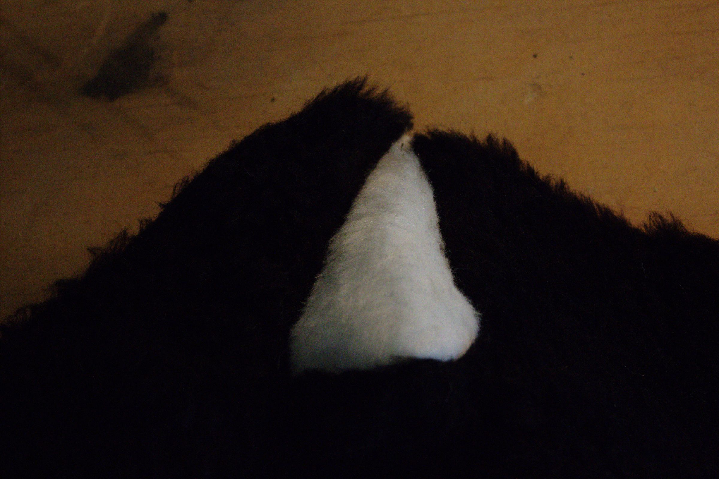 Animatronic Cat Ears : 11 Steps (with Pictures) - Instructables