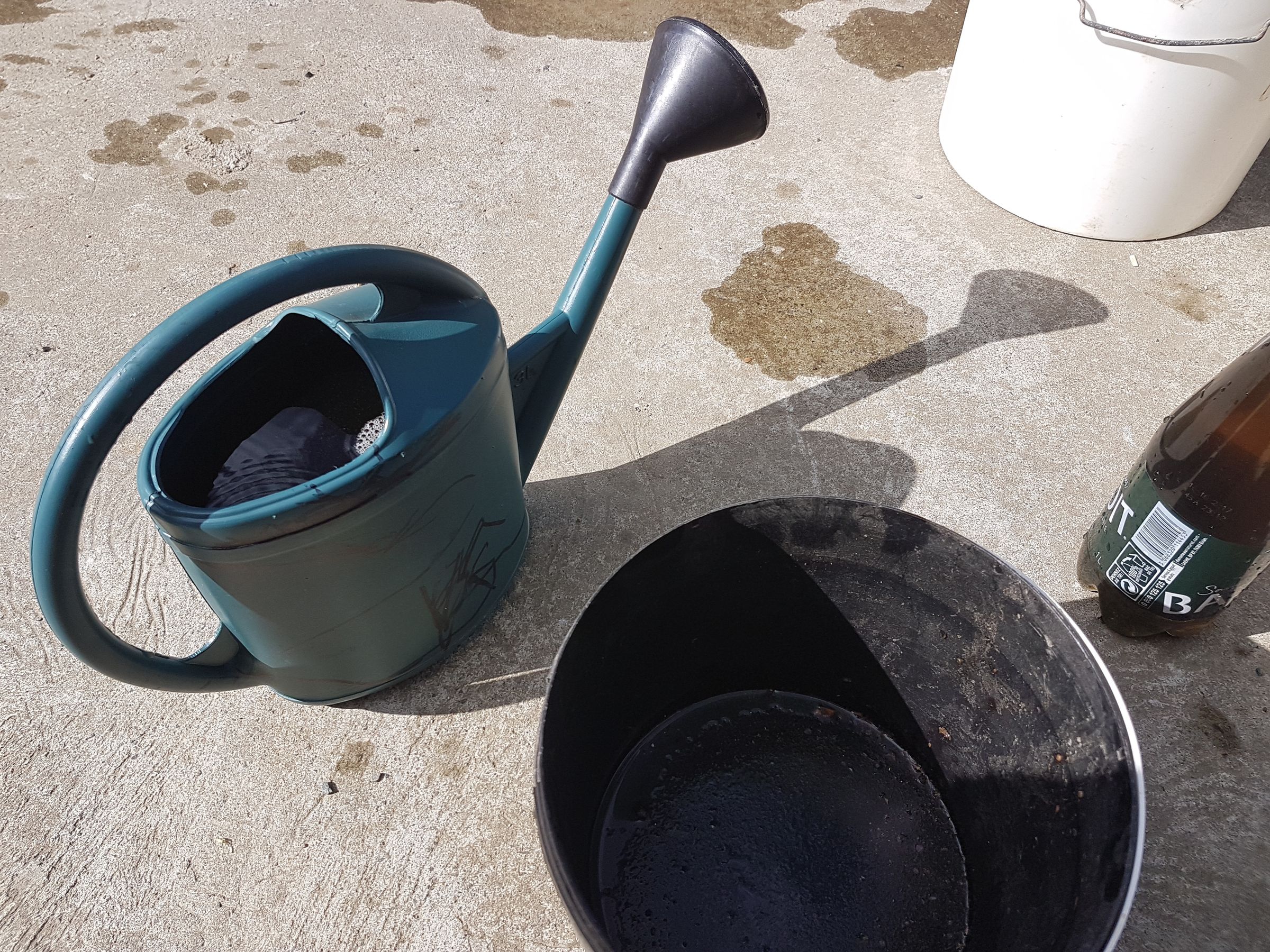 Homemade Natural Insecticide/repellent (with Pictures) - Instructables