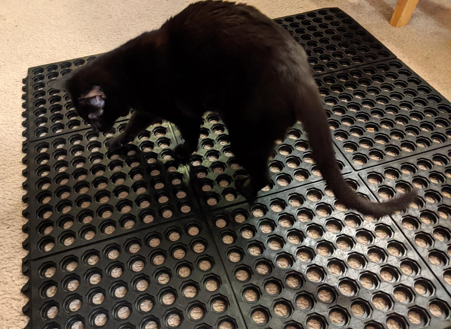 How to Make Your Pet a Durable Snuffle Mat : 4 Steps (with Pictures ...