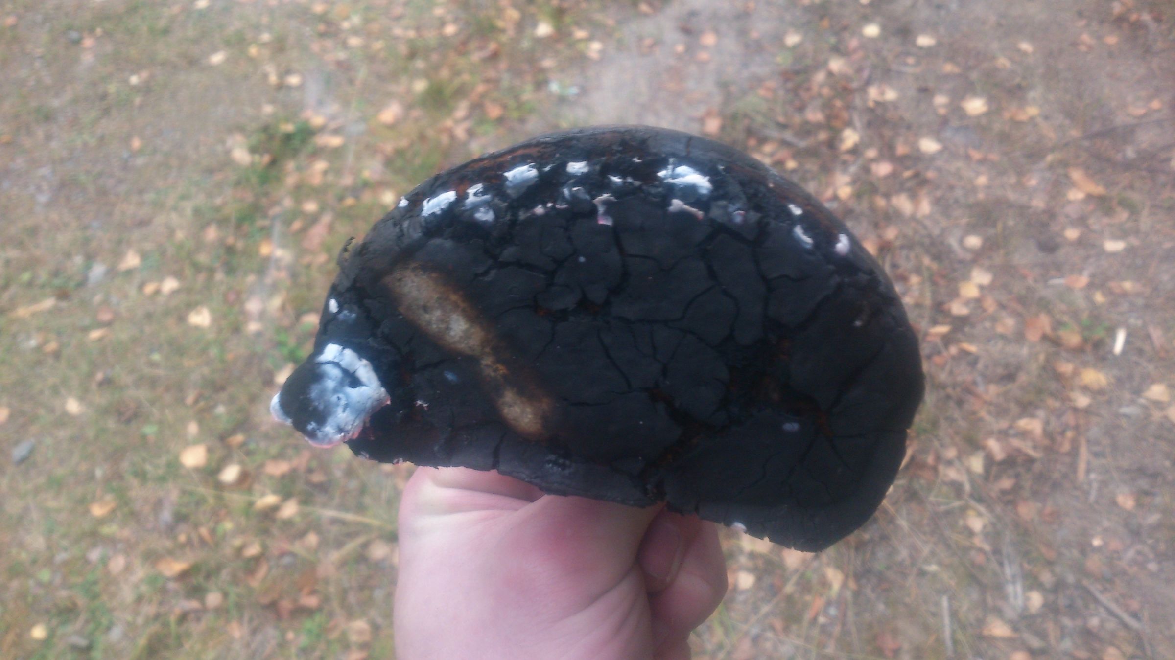 How to Carry Embers : 5 Steps (with Pictures) - Instructables