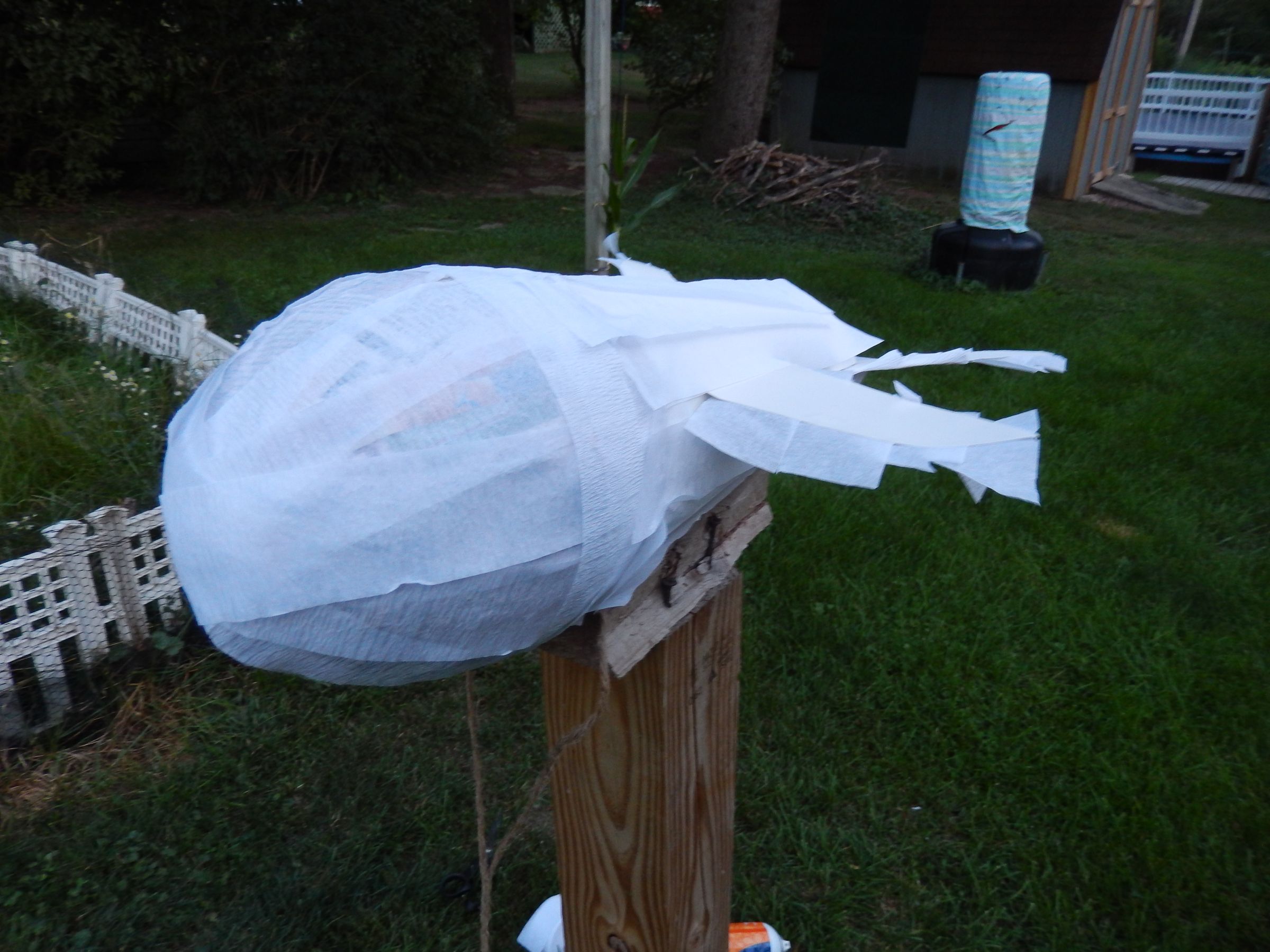 Seal Pinata : 11 Steps - Instructables