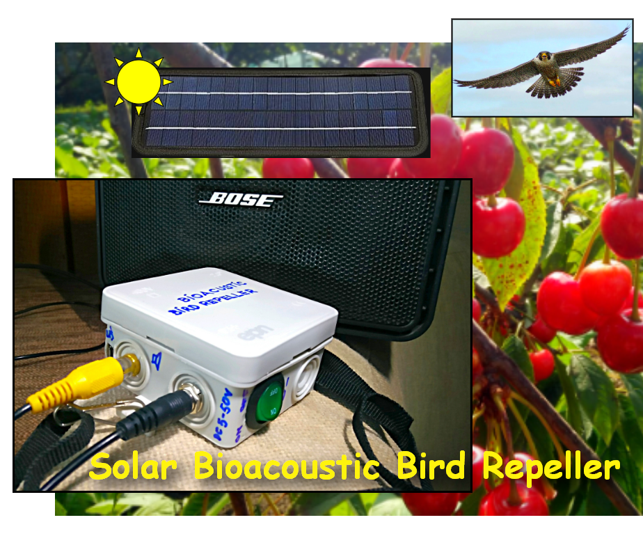 Solar Bioacoustic Bird Repeller : 10 Steps (with Pictures) - Instructables