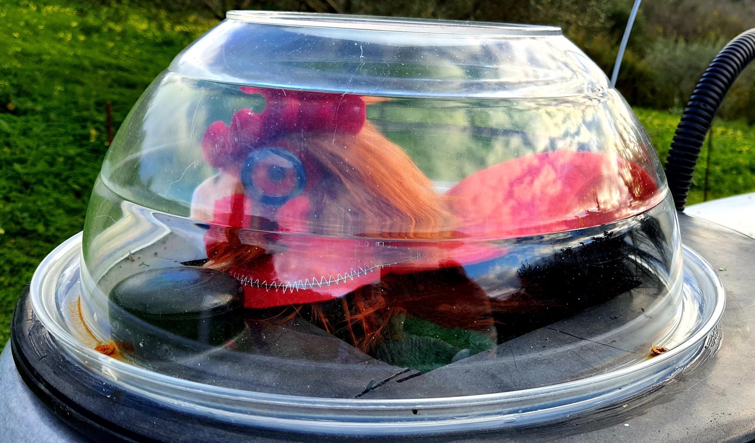 Space Chicken Spaceship Chicken Coop : 13 Steps (with Pictures ...