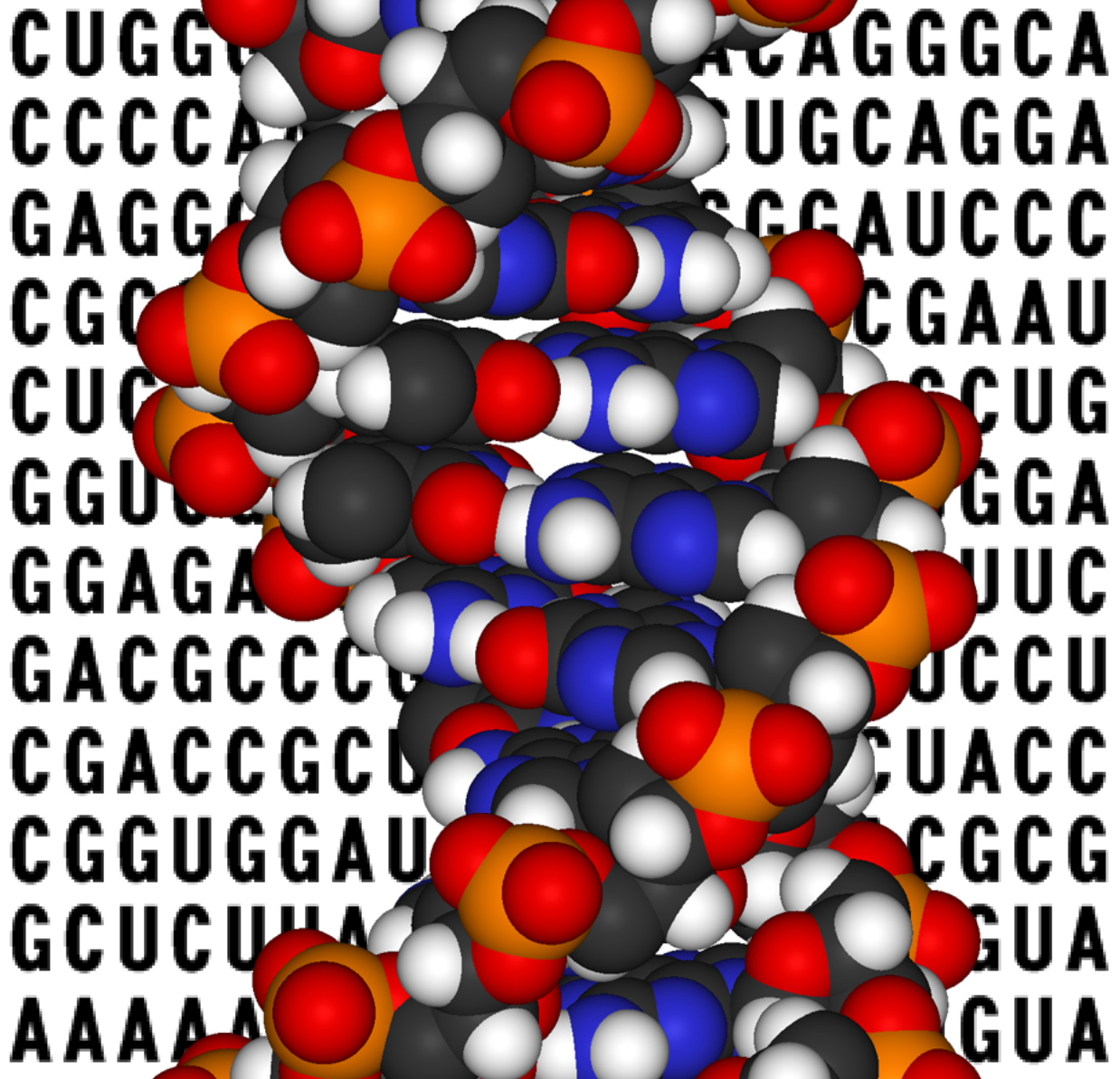 How to Use Genome Code to Design : 4 Steps - Instructables