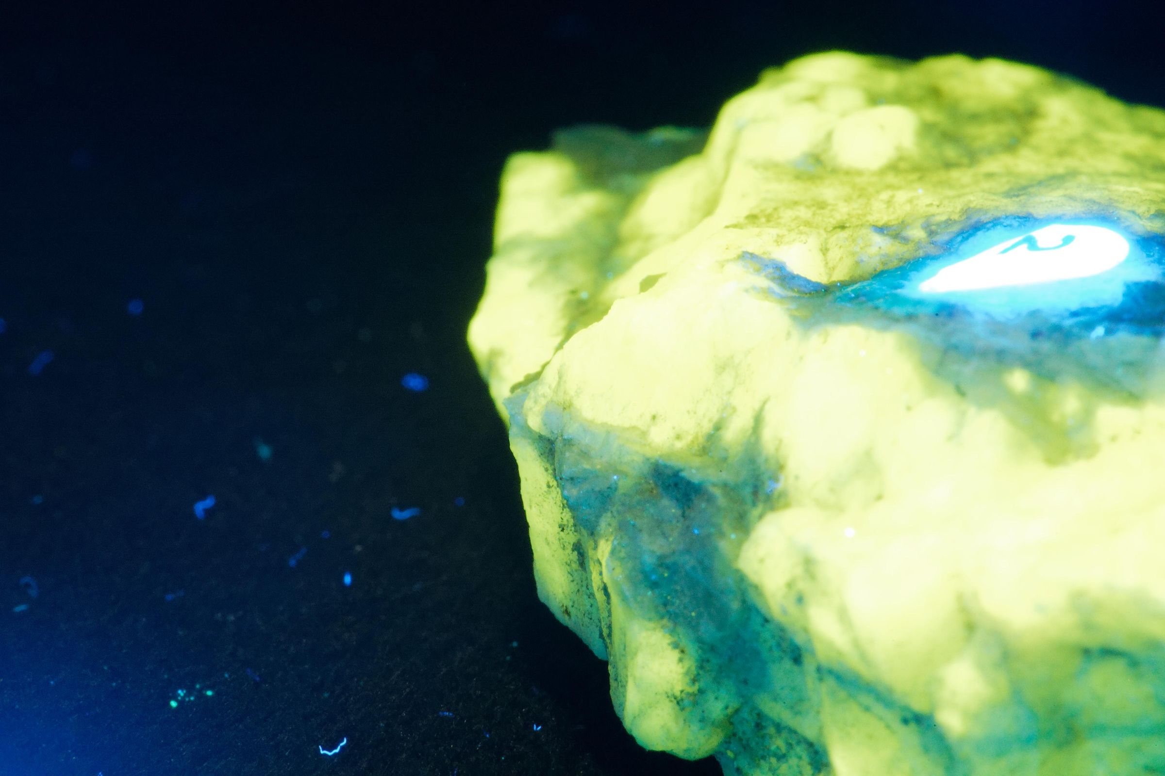 Build a Simple UV Photography Box : 25 Steps (with Pictures ...
