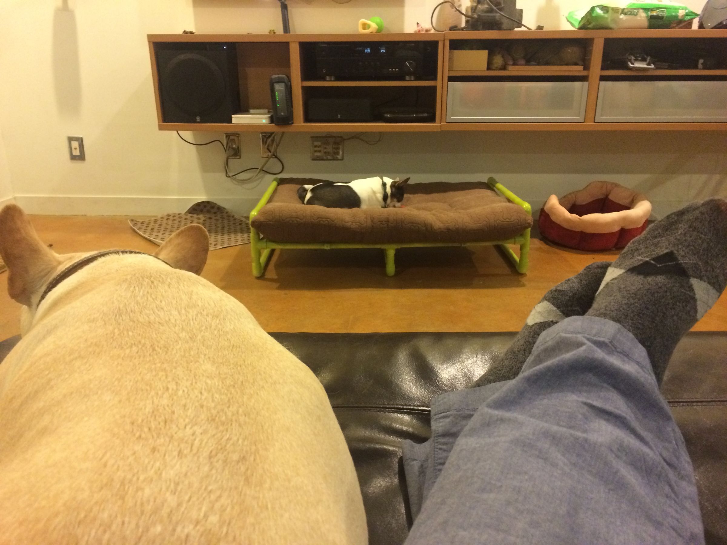 PVC Pipe Raised Dog Bed : 7 Steps (with Pictures) - Instructables