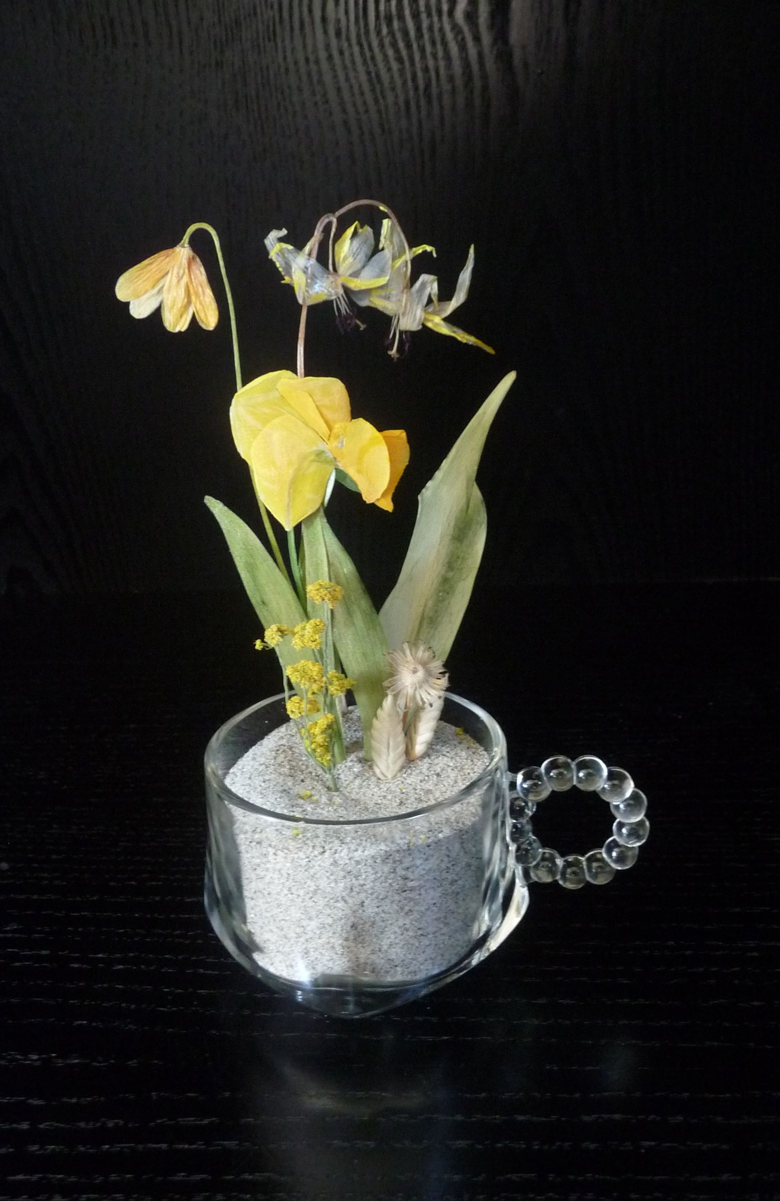 Preserving Nature With Spray Paint ... Really! : 3 Steps (with Pictures ...