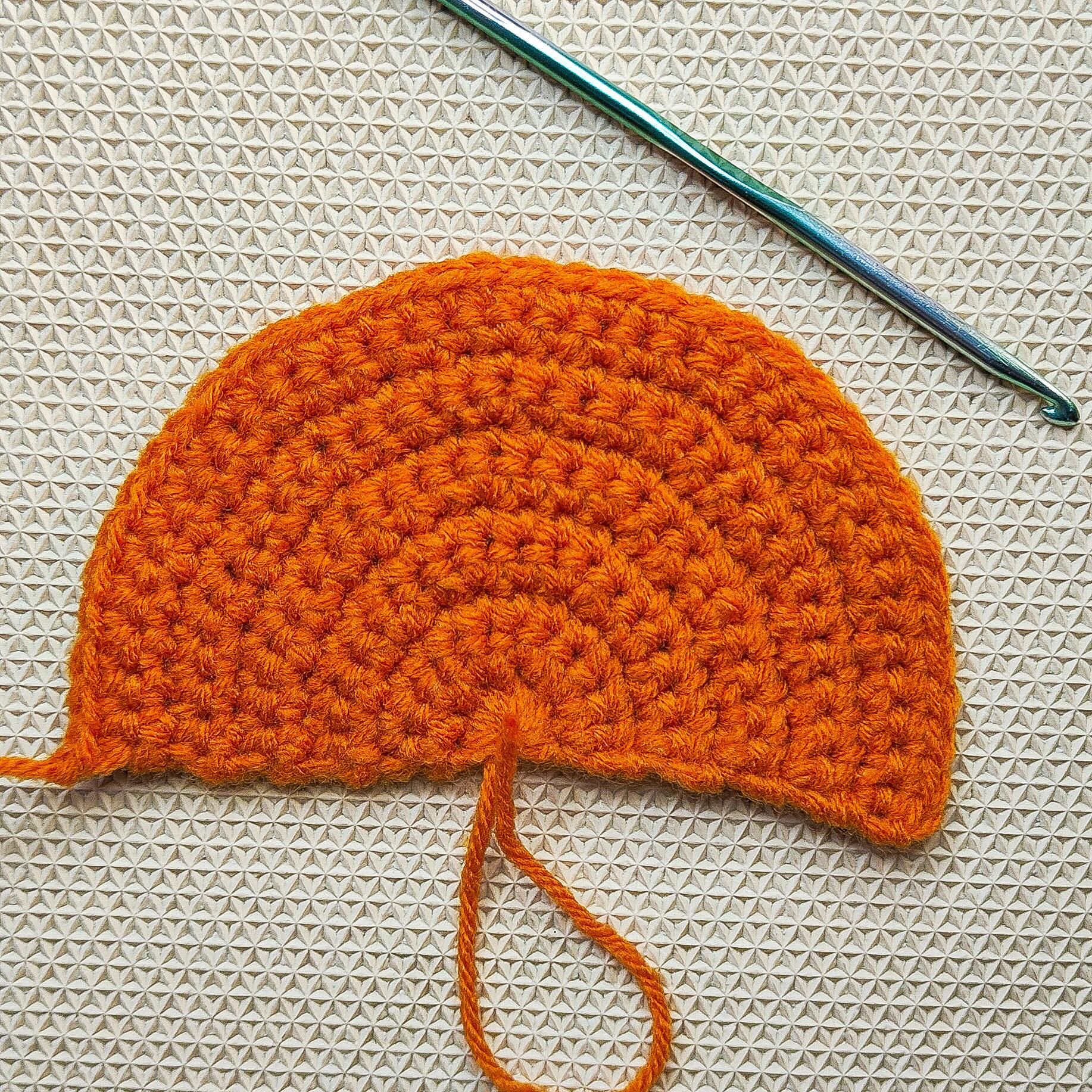 How to Crochet Perfect Semi Circle With Single Crochets : 12 Steps ...