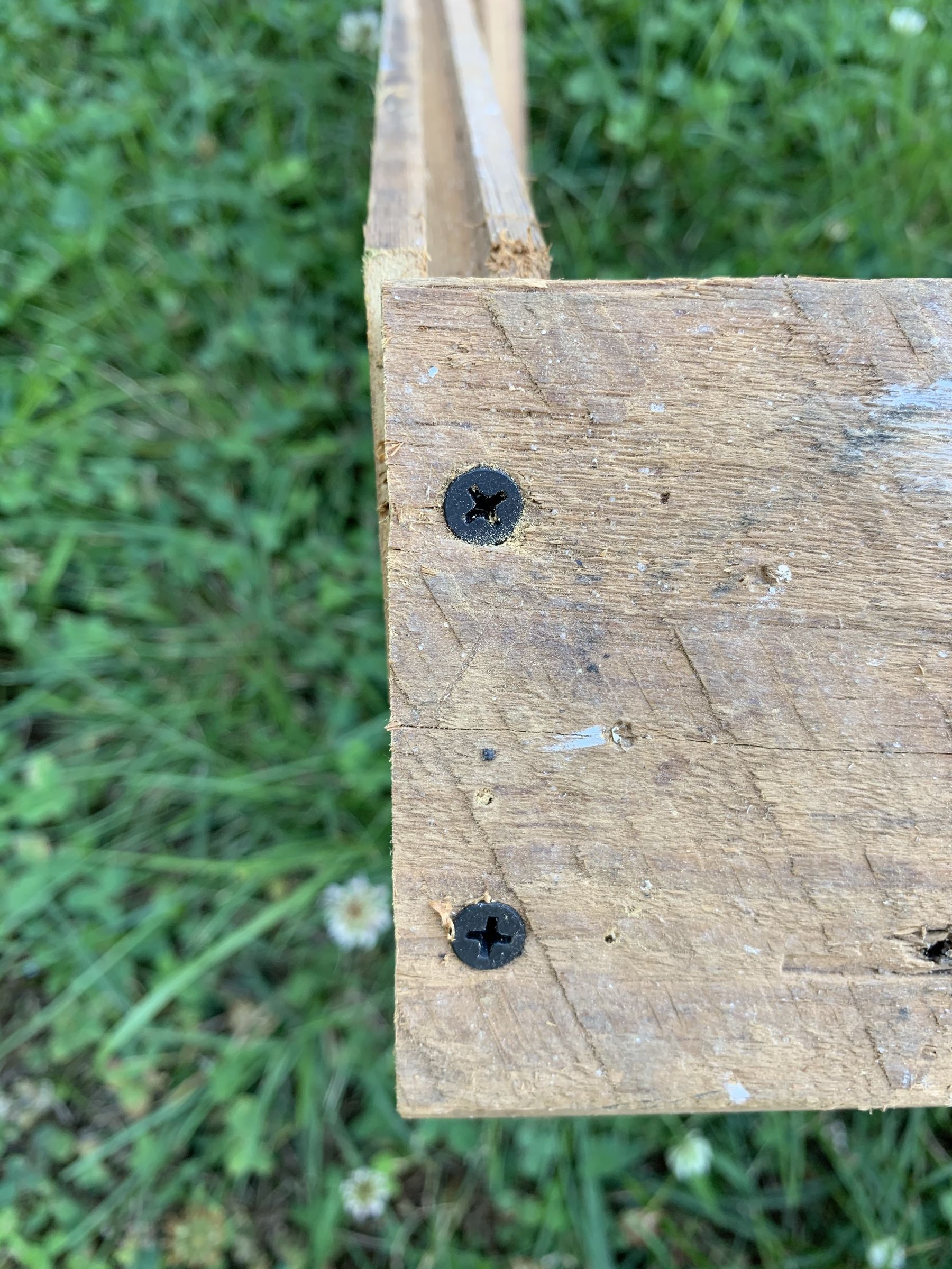 Chicken Playground : 20 Steps (with Pictures) - Instructables