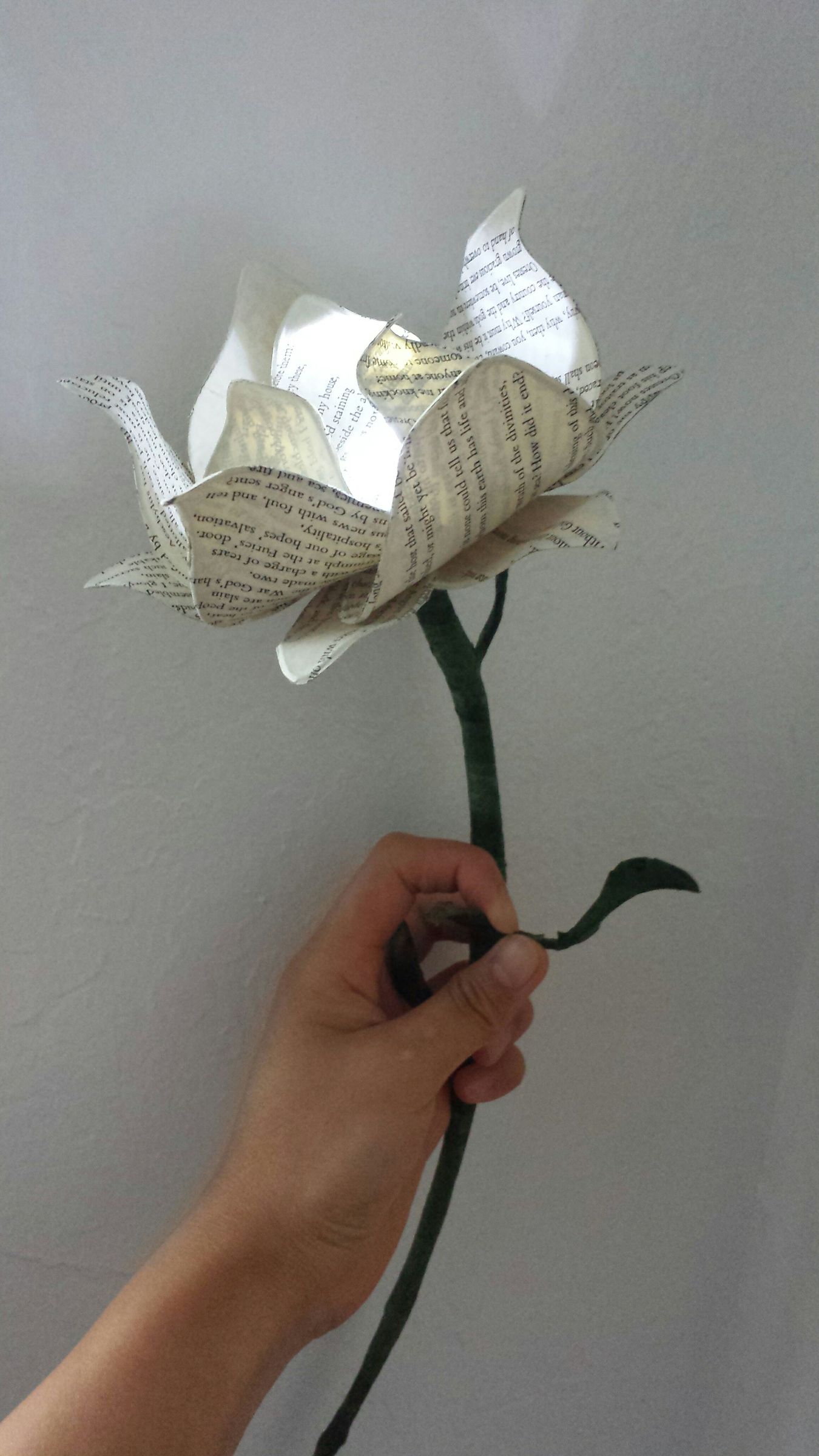 Light-up Literary Flower : 7 Steps - Instructables