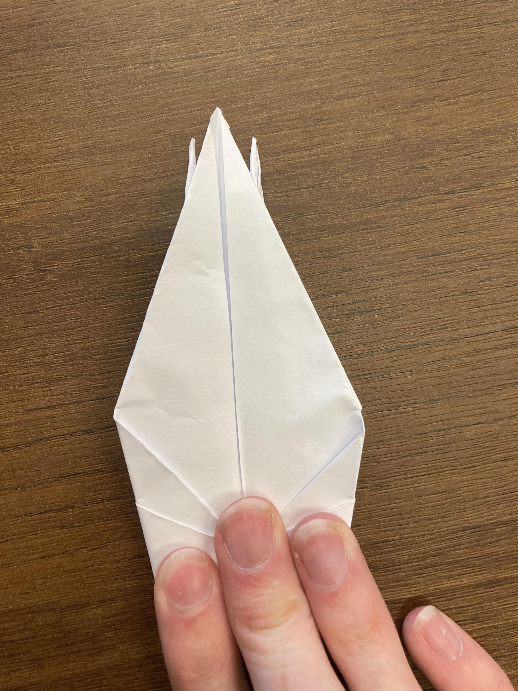 Folding a Paper Crane : 16 Steps (with Pictures) - Instructables