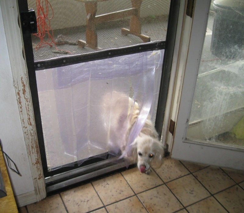 Easy, Inexpensive Doggy Door in a Screen Door : 6 Steps (with Pictures ...