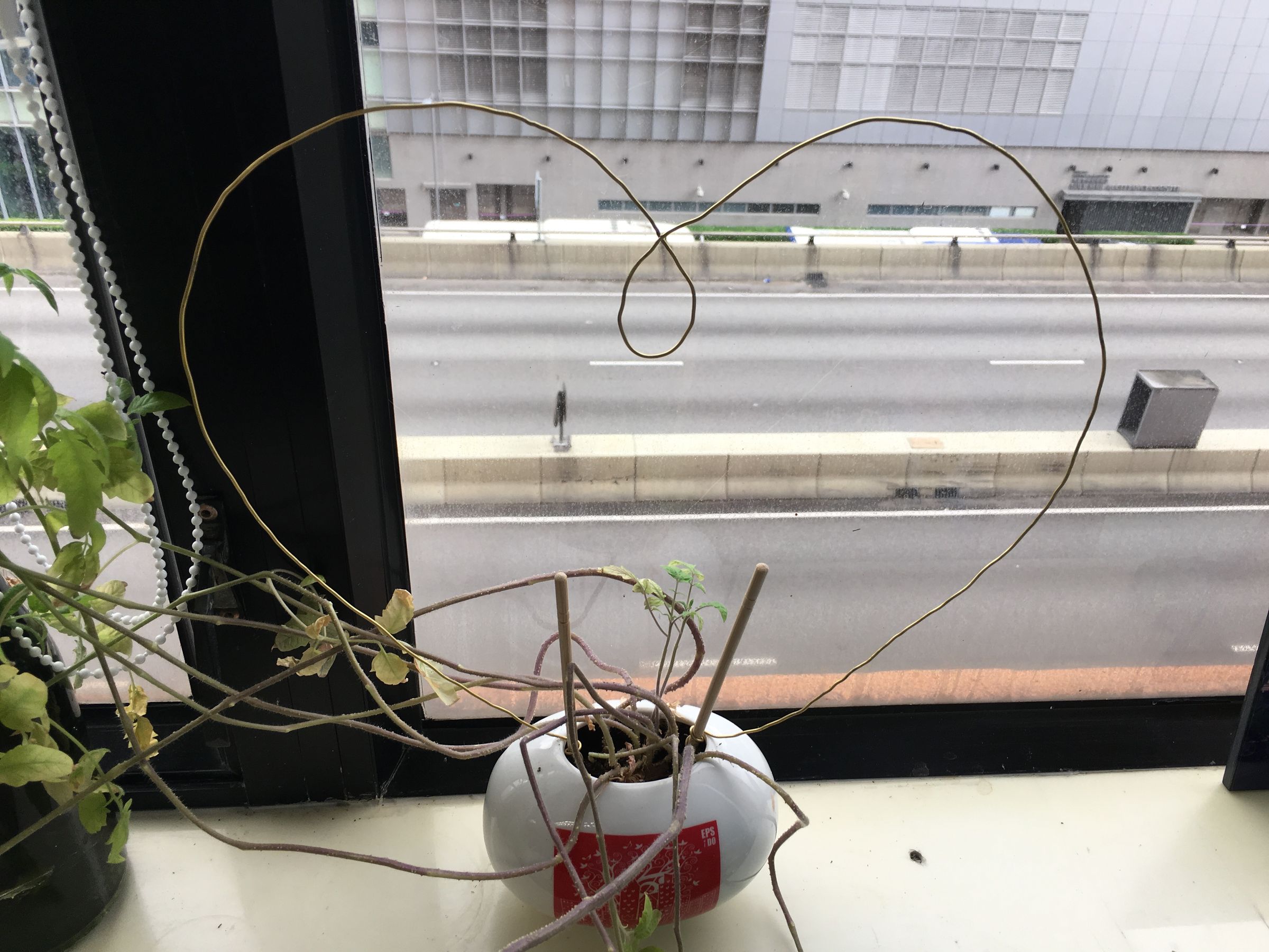 Support Weak Stem in Custom Shape : 8 Steps (with Pictures) - Instructables