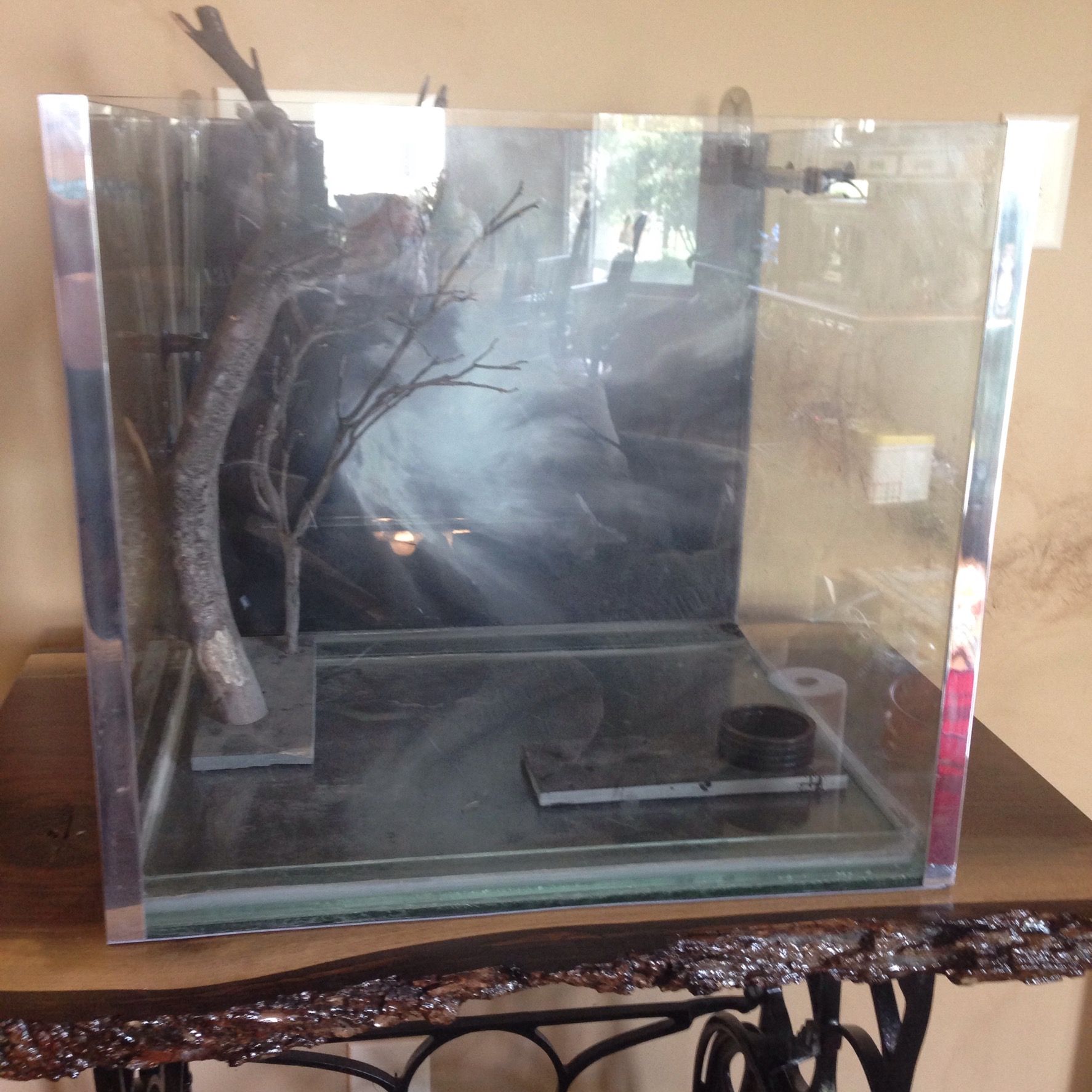 Dark and Eerie Fish Tank : 18 Steps (with Pictures) - Instructables