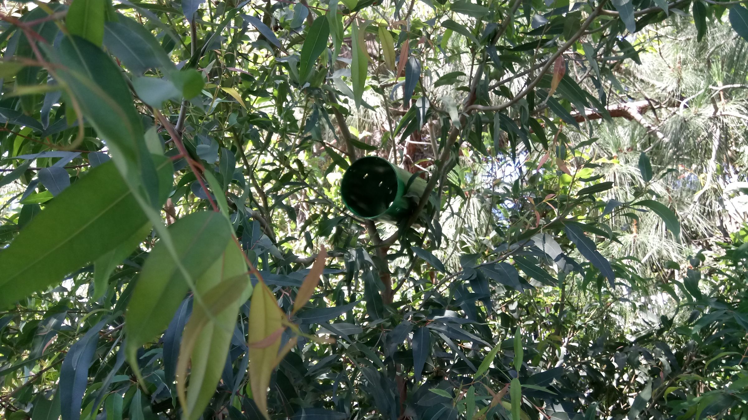 Helpful Possum Box : 4 Steps (with Pictures) - Instructables