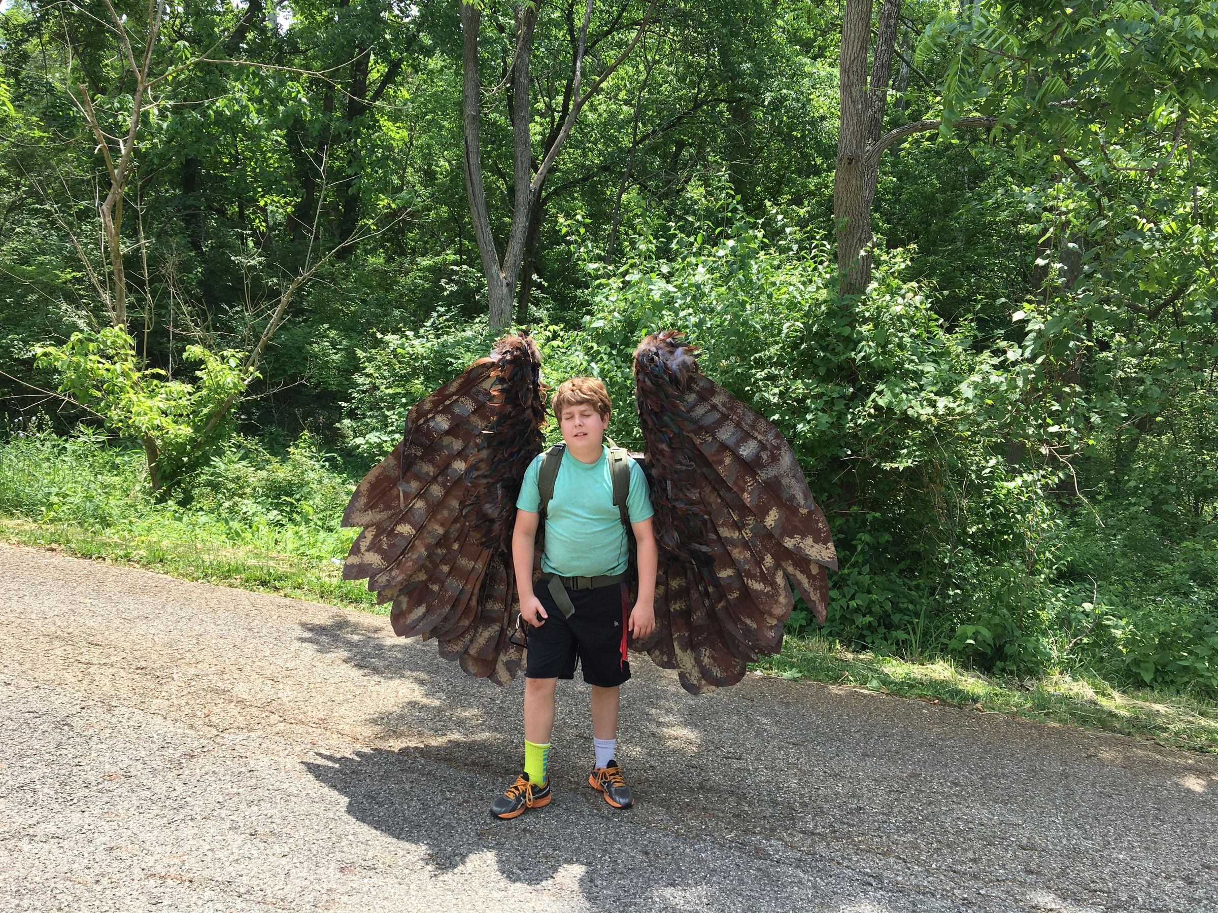 Articulating Electric Mechanical Wings : 10 Steps (with Pictures ...