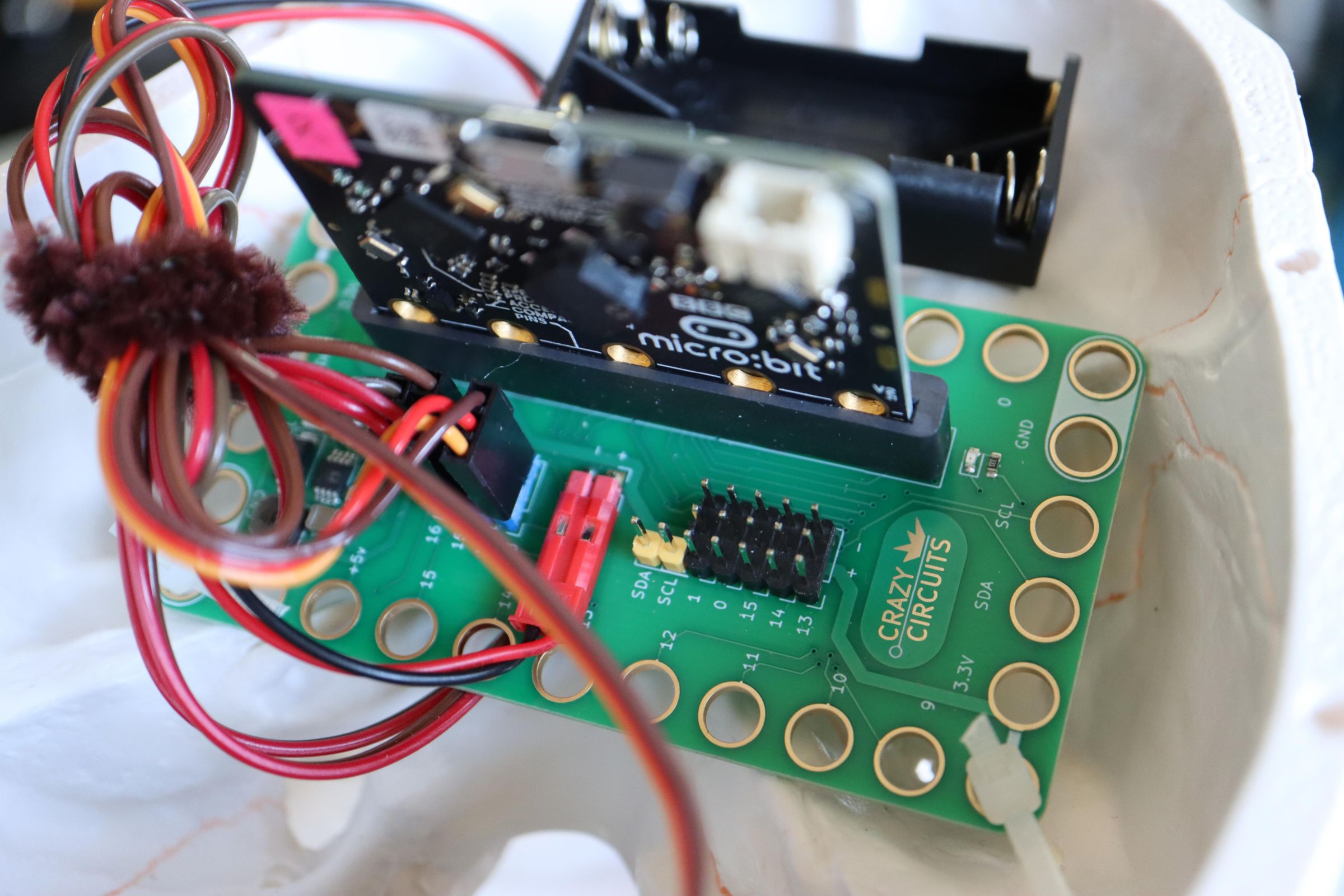 Easy Talking Skull With Micro:bit - Remote Control Animatronic Skull ...