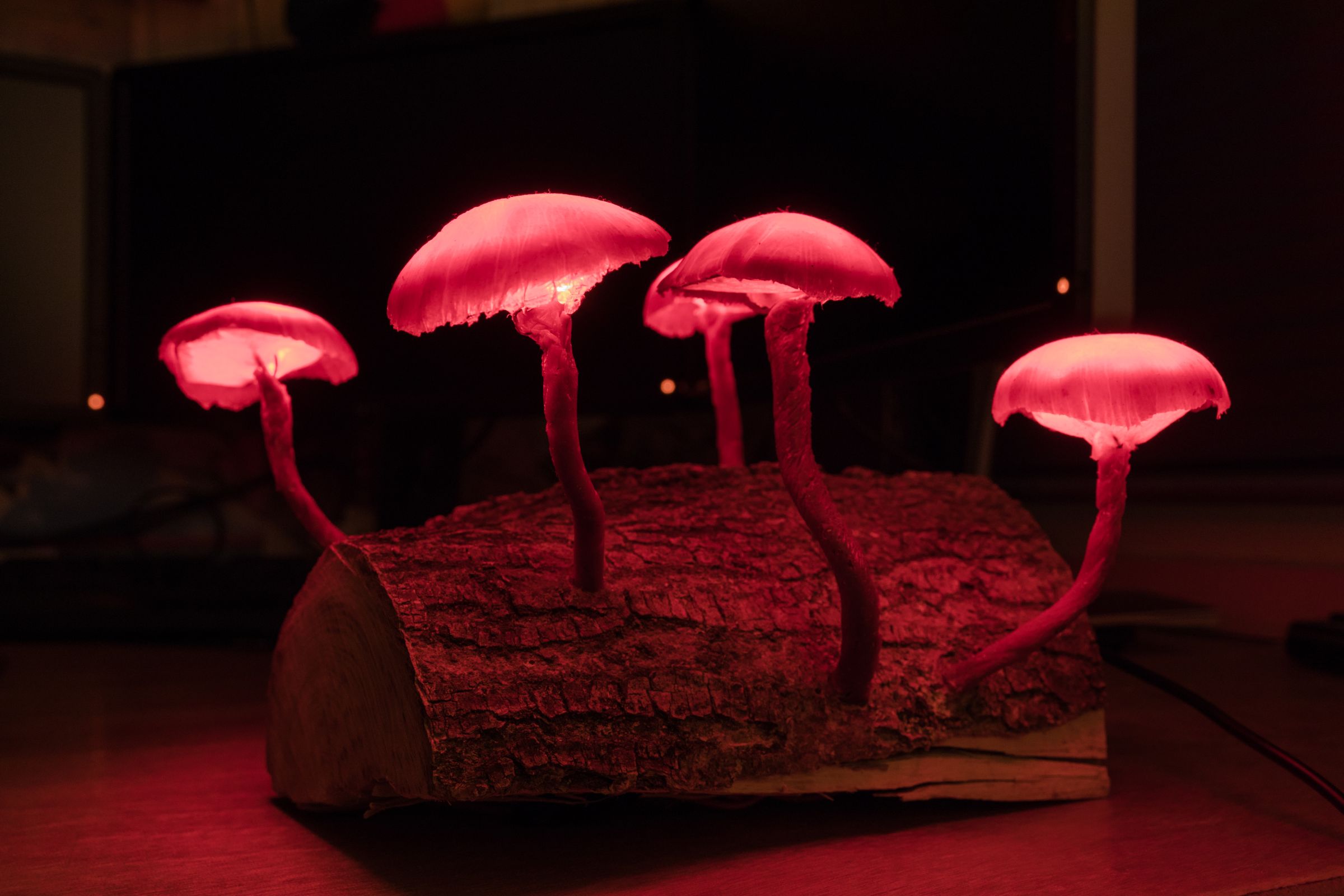 Enchanted Forest Mushroom Lights : 14 Steps (with Pictures) - Instructables