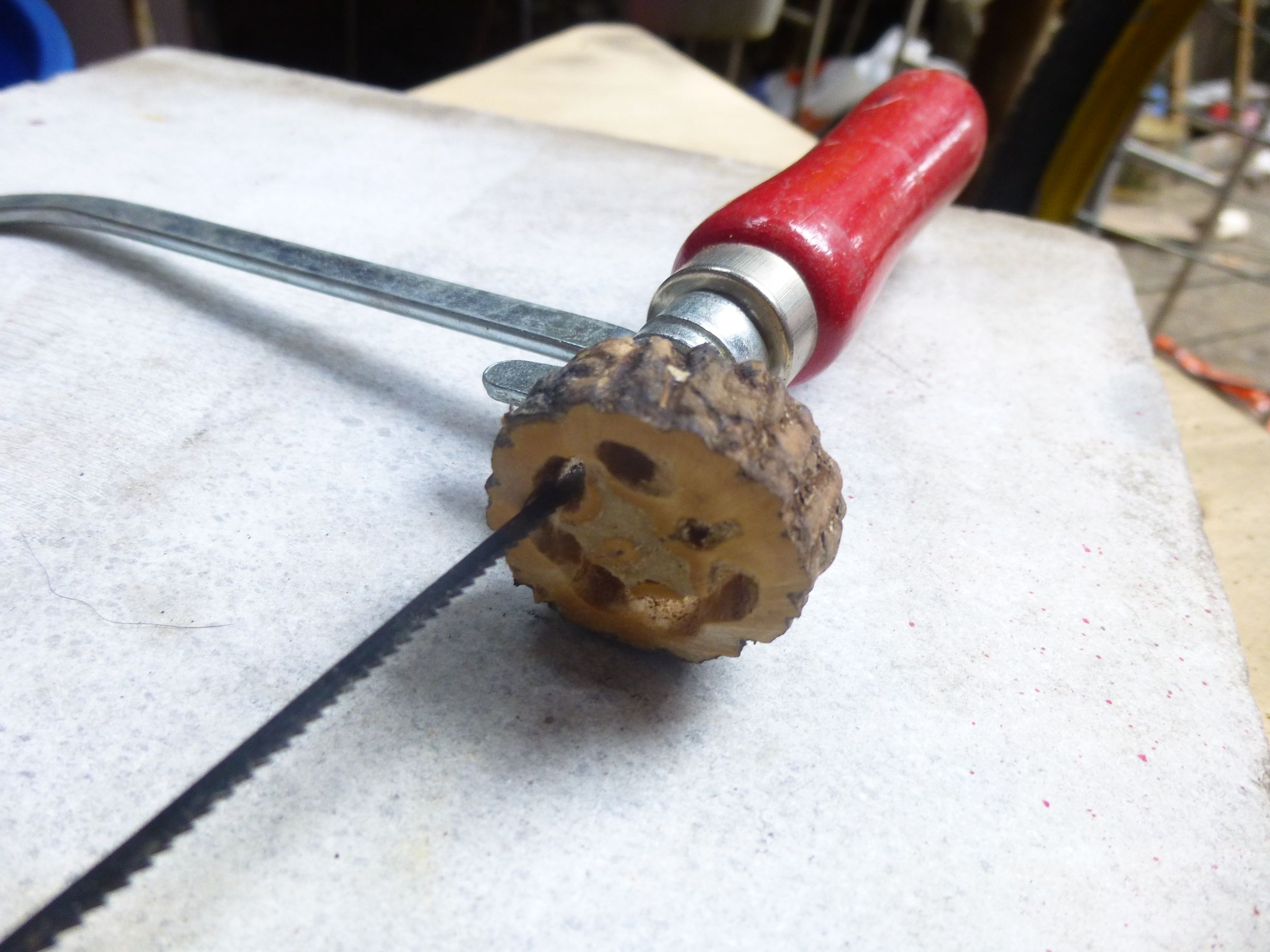 Black Walnut Seed Ring. : 4 Steps (with Pictures) - Instructables