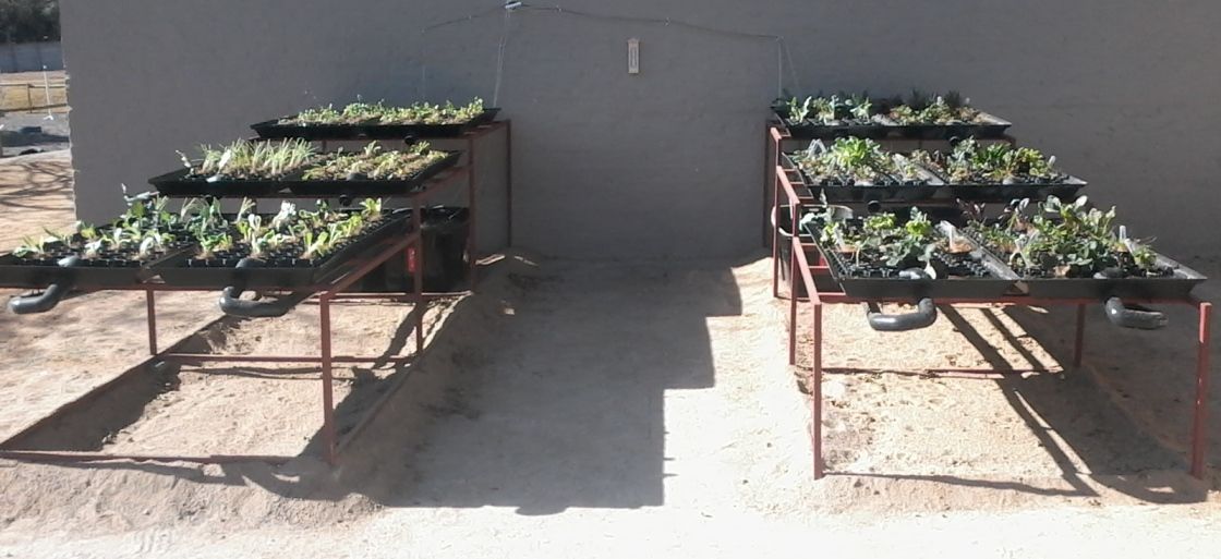Hydroponic Ideas : 5 Steps (with Pictures) - Instructables