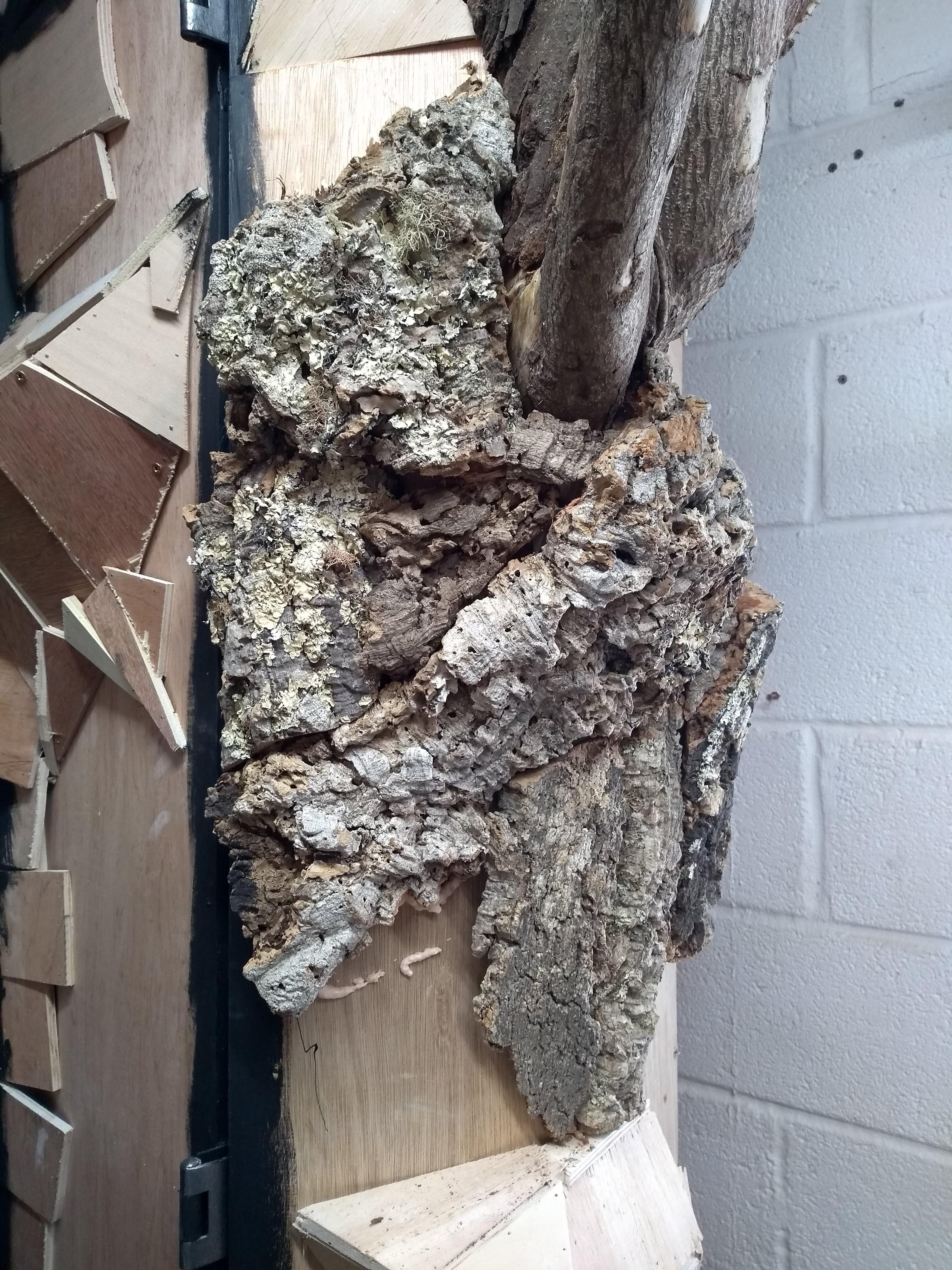 Tree Cabinet : 5 Steps (with Pictures) - Instructables