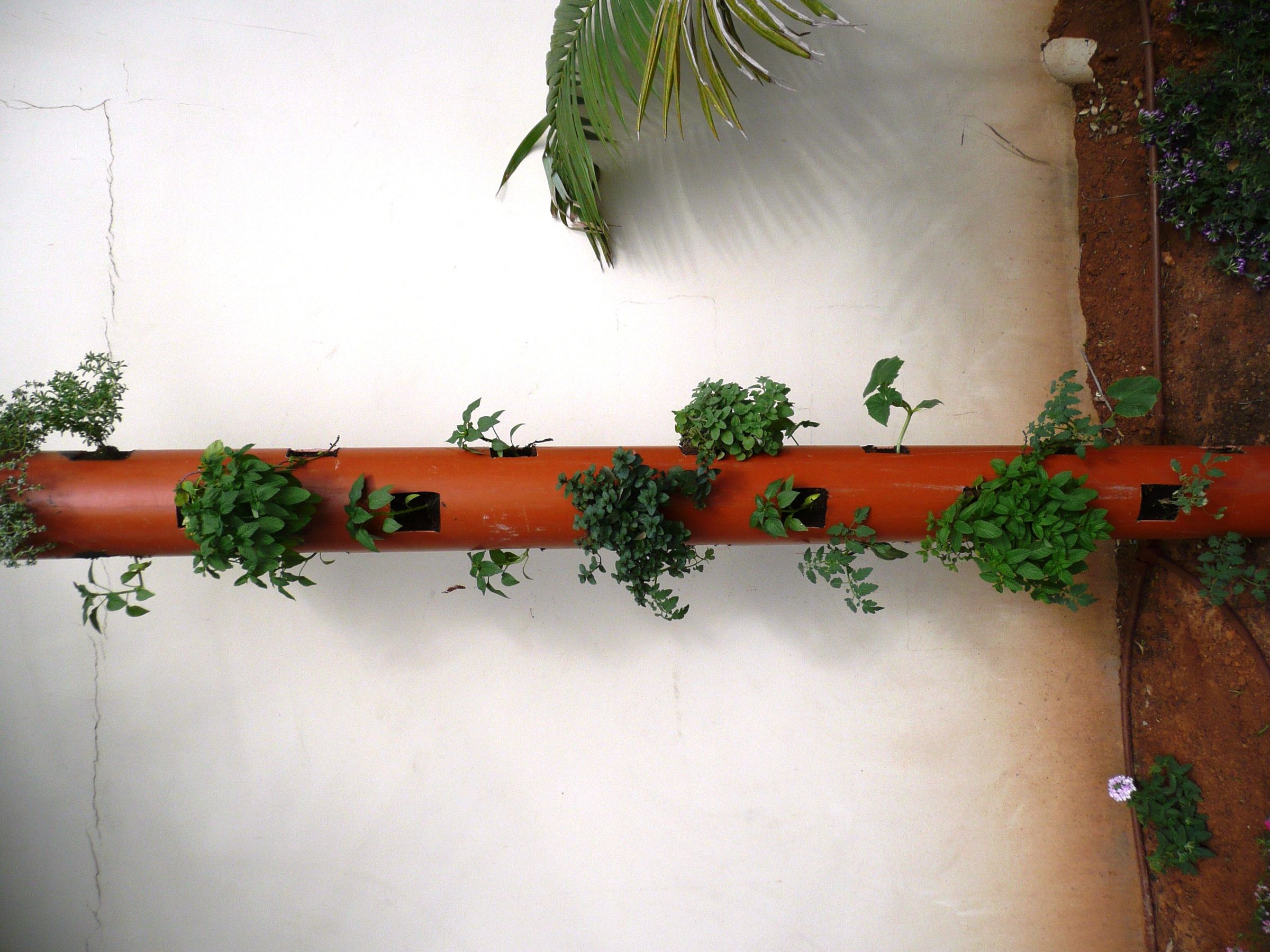 DIY Organic Vertical Planter : 7 Steps (with Pictures) - Instructables