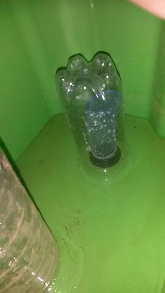 Make a Bell Siphon : 4 Steps - Instructables