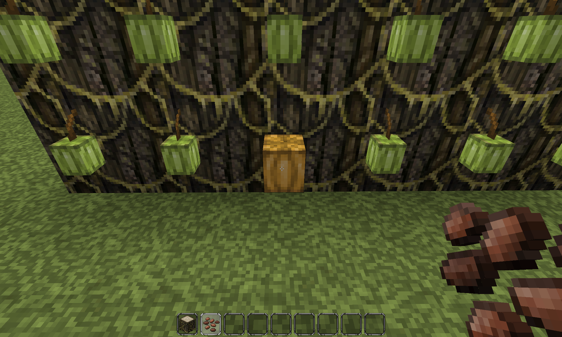 Minecraft Farming 101 : 6 Steps - Instructables
