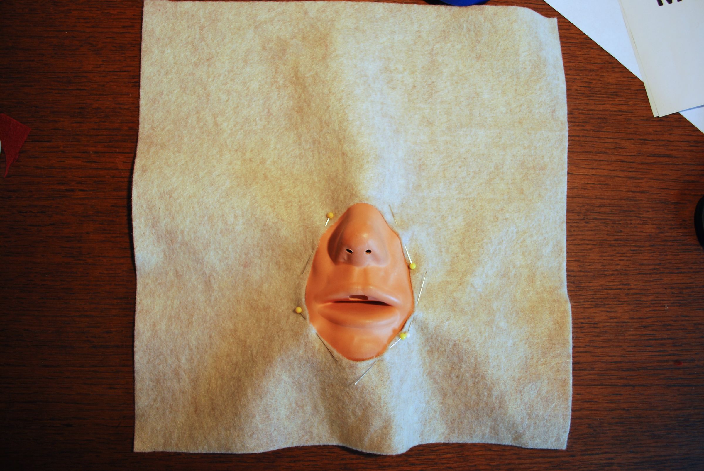 Make-Out Practice Pillow for Valentine's Day : 5 Steps (with Pictures ...