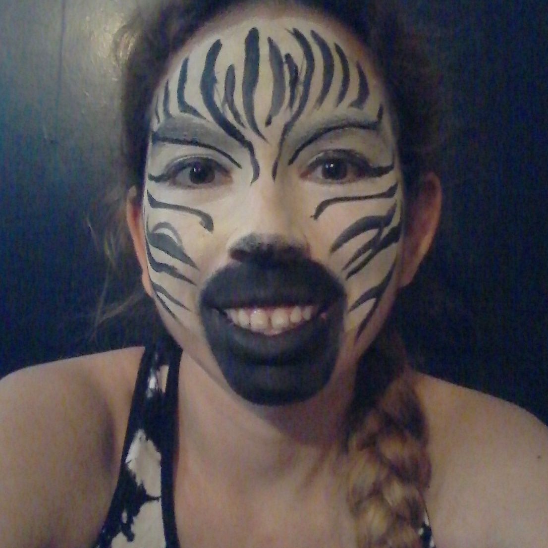 Zebra Face Paint Zoo Project