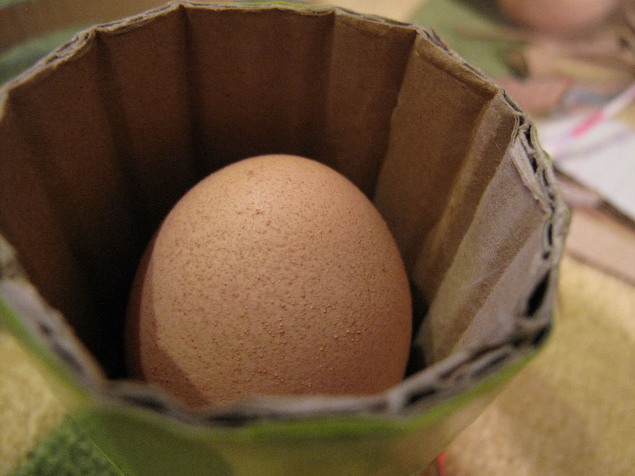 6-Pack Egg Carrier With Encapsulated Eggs! : 11 Steps (with Pictures ...