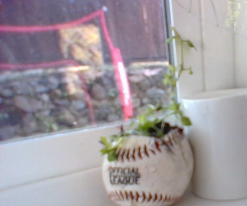 Baseball Plant Pot : 4 Steps - Instructables