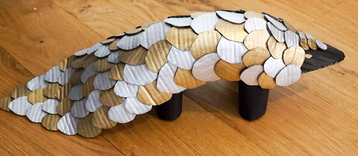 DIY Cardboard Pangolin | Sculpt an Armoured Animal With Recycled Card ...