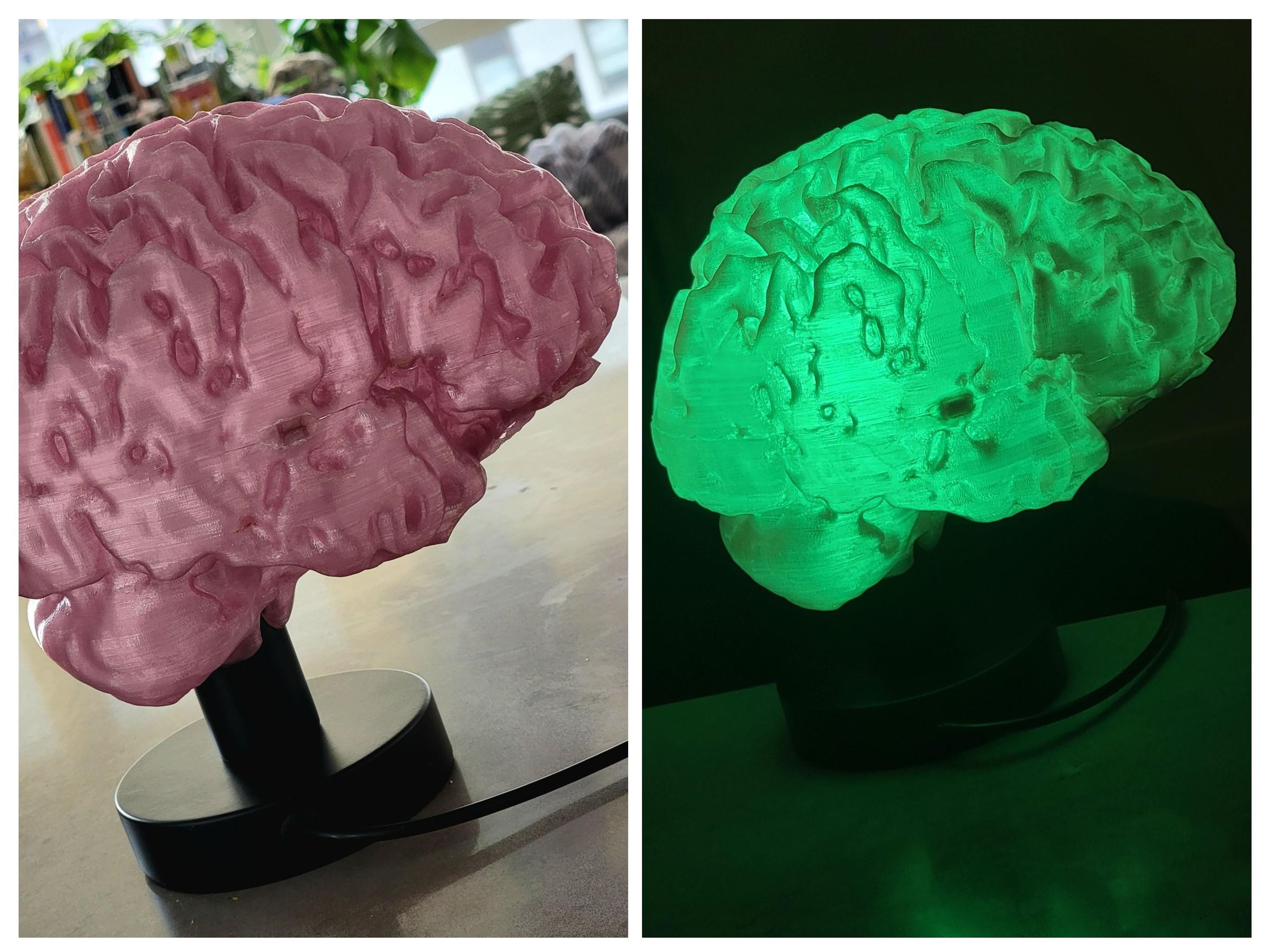 How To: From MRI to 3D Printed Brain Lamp : 4 Steps (with Pictures) - Instructables