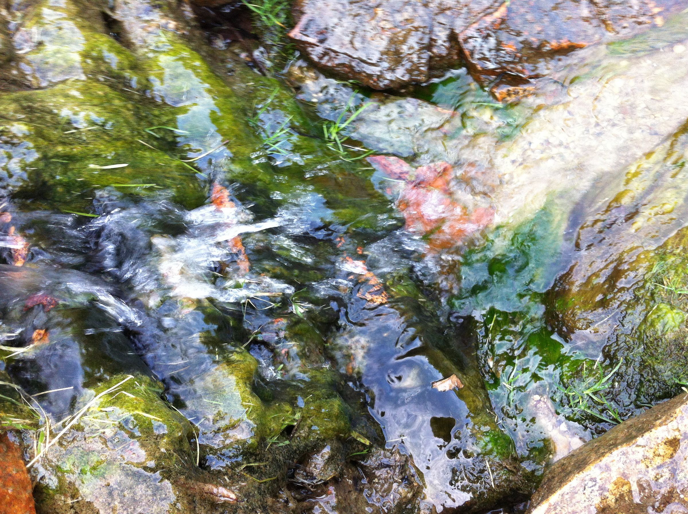 A Survival Water Filter : 5 Steps (with Pictures) - Instructables