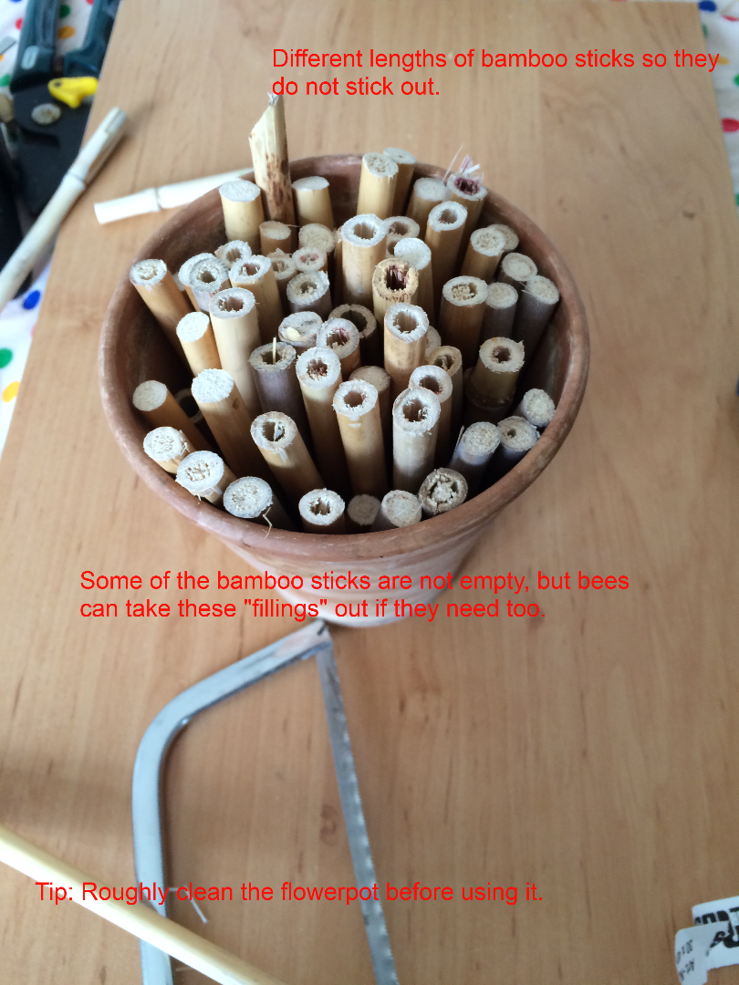Creating a Bee House : 10 Steps (with Pictures) - Instructables