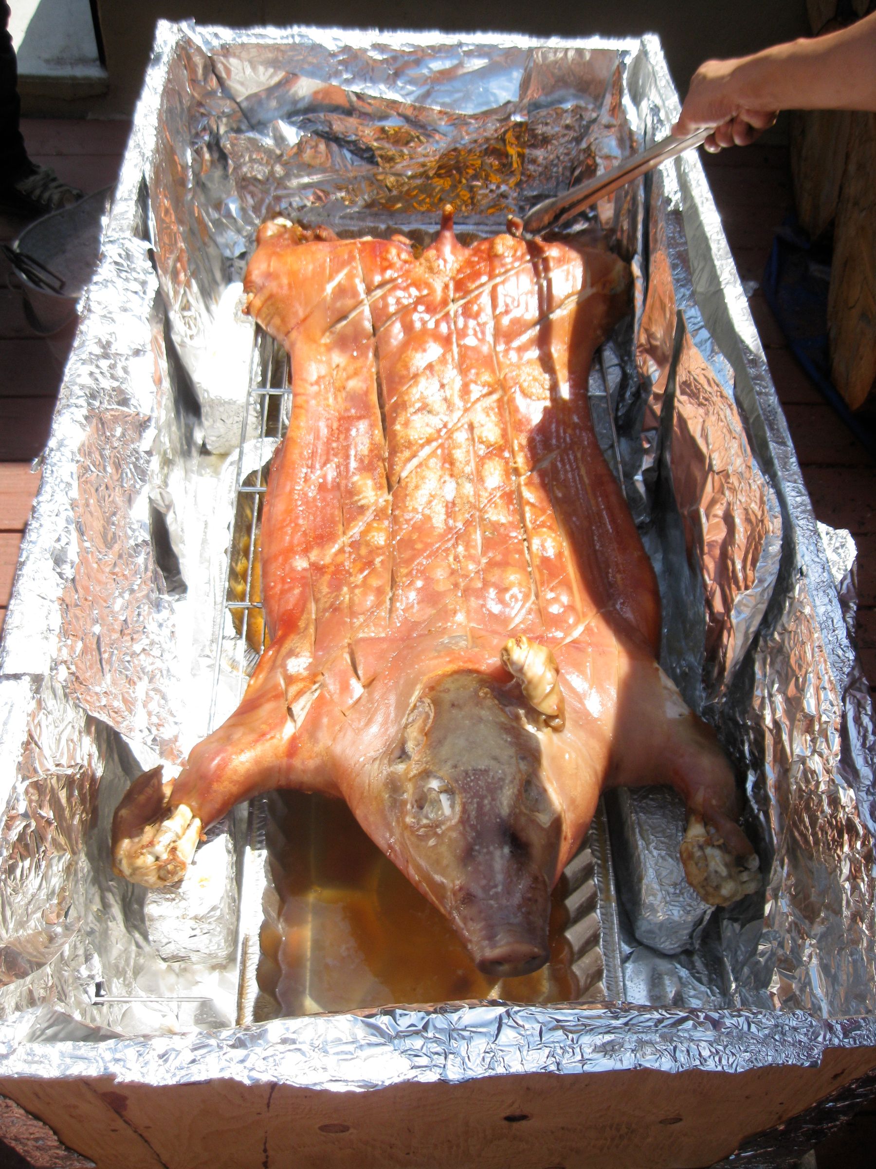 Build a Caja China ~ Roast a Pig in a Box : 10 Steps (with Pictures ...