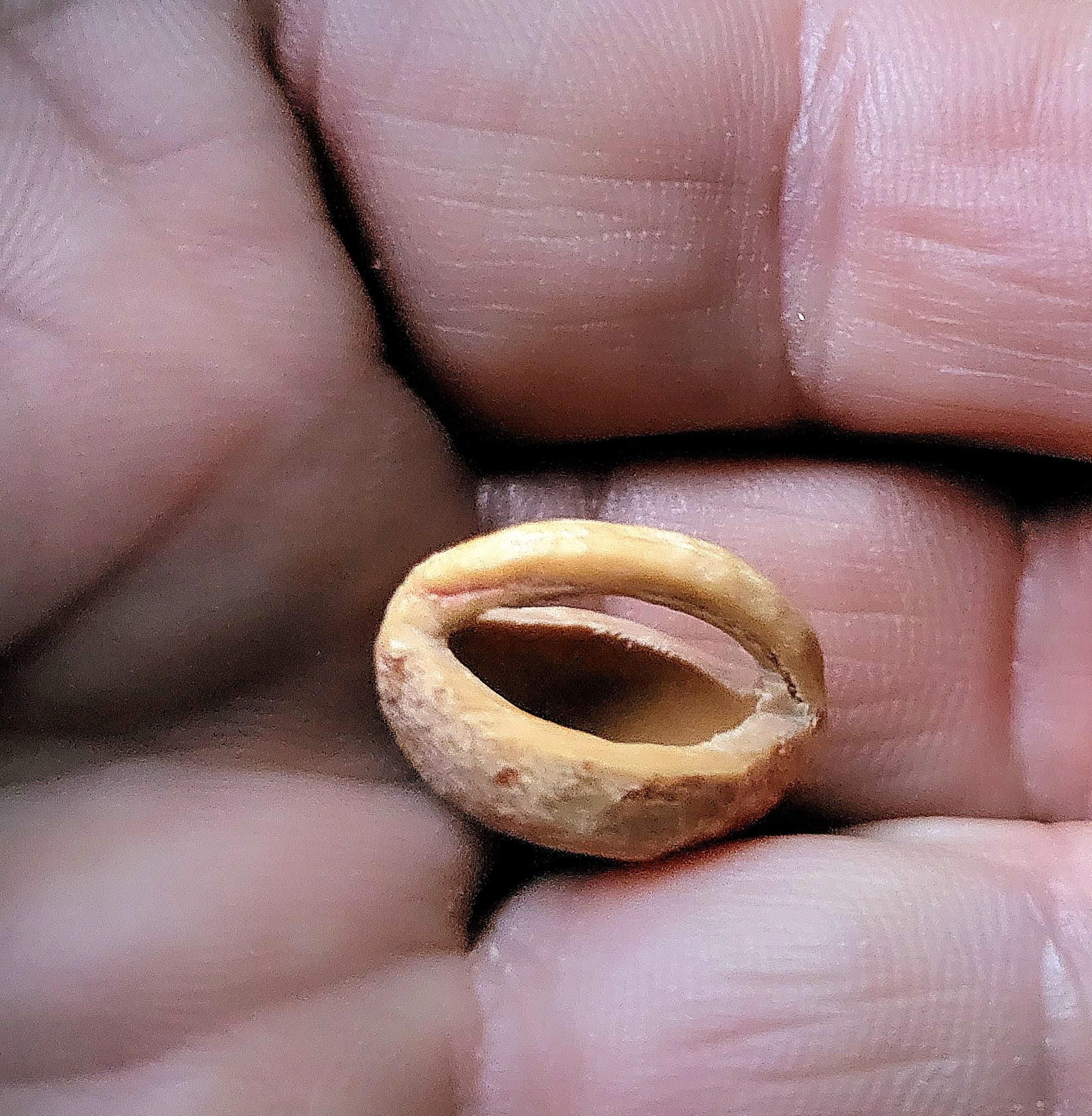 Plum Pit Carving : 3 Steps - Instructables