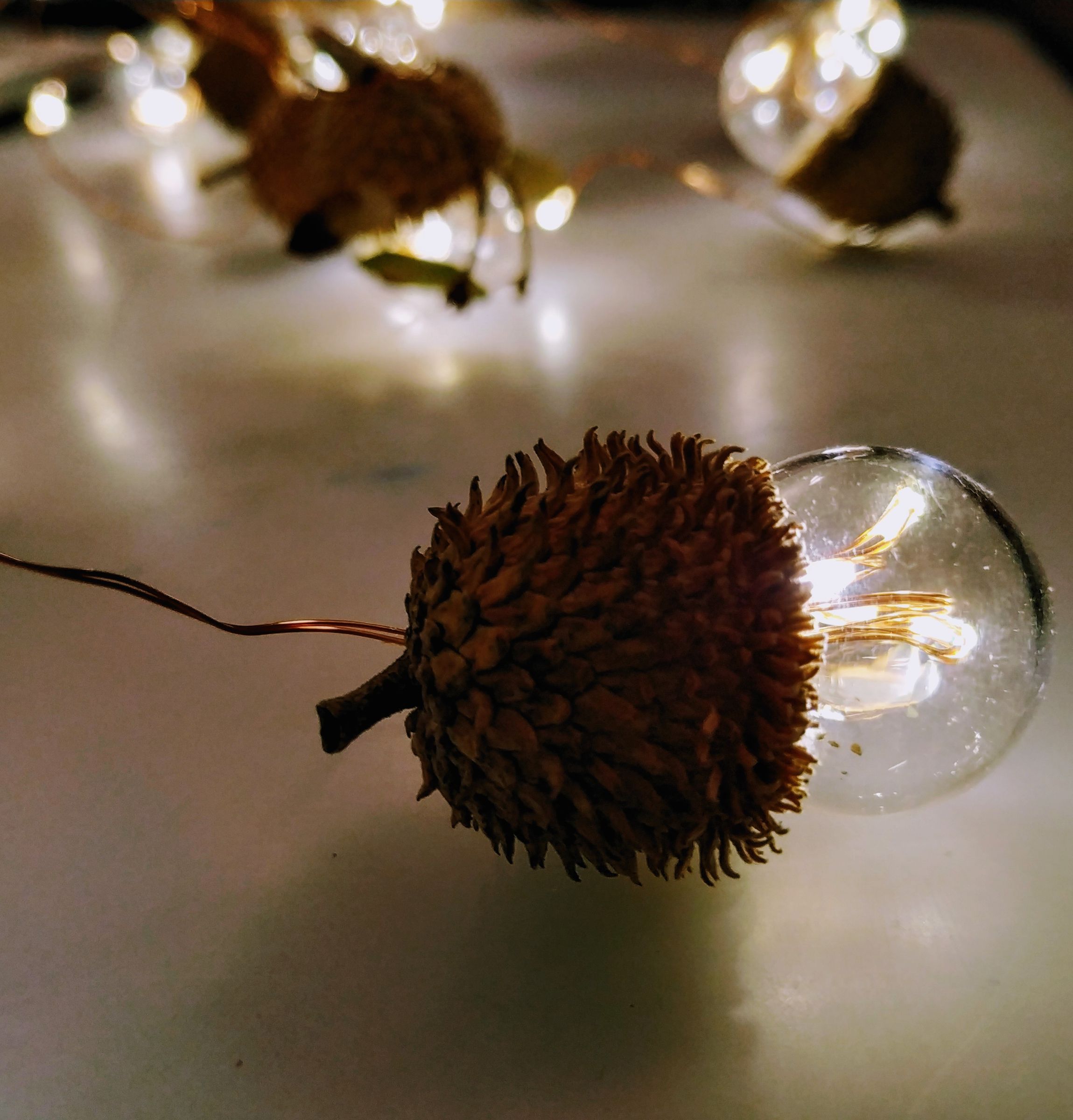 Tiny Acorn Light Bulbs!!! : 3 Steps (with Pictures) - Instructables