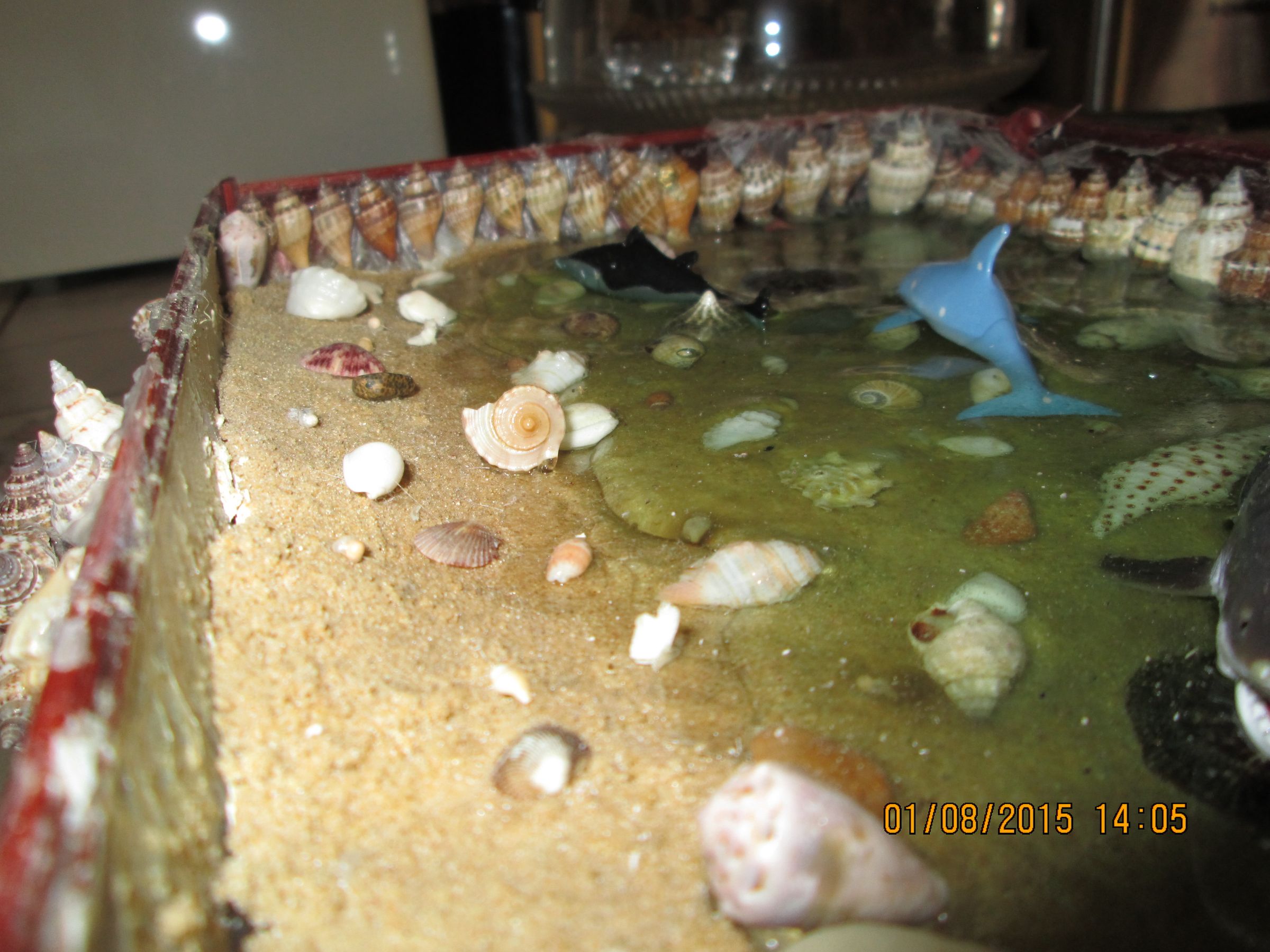 Ocean Delight in a Box : 5 Steps - Instructables