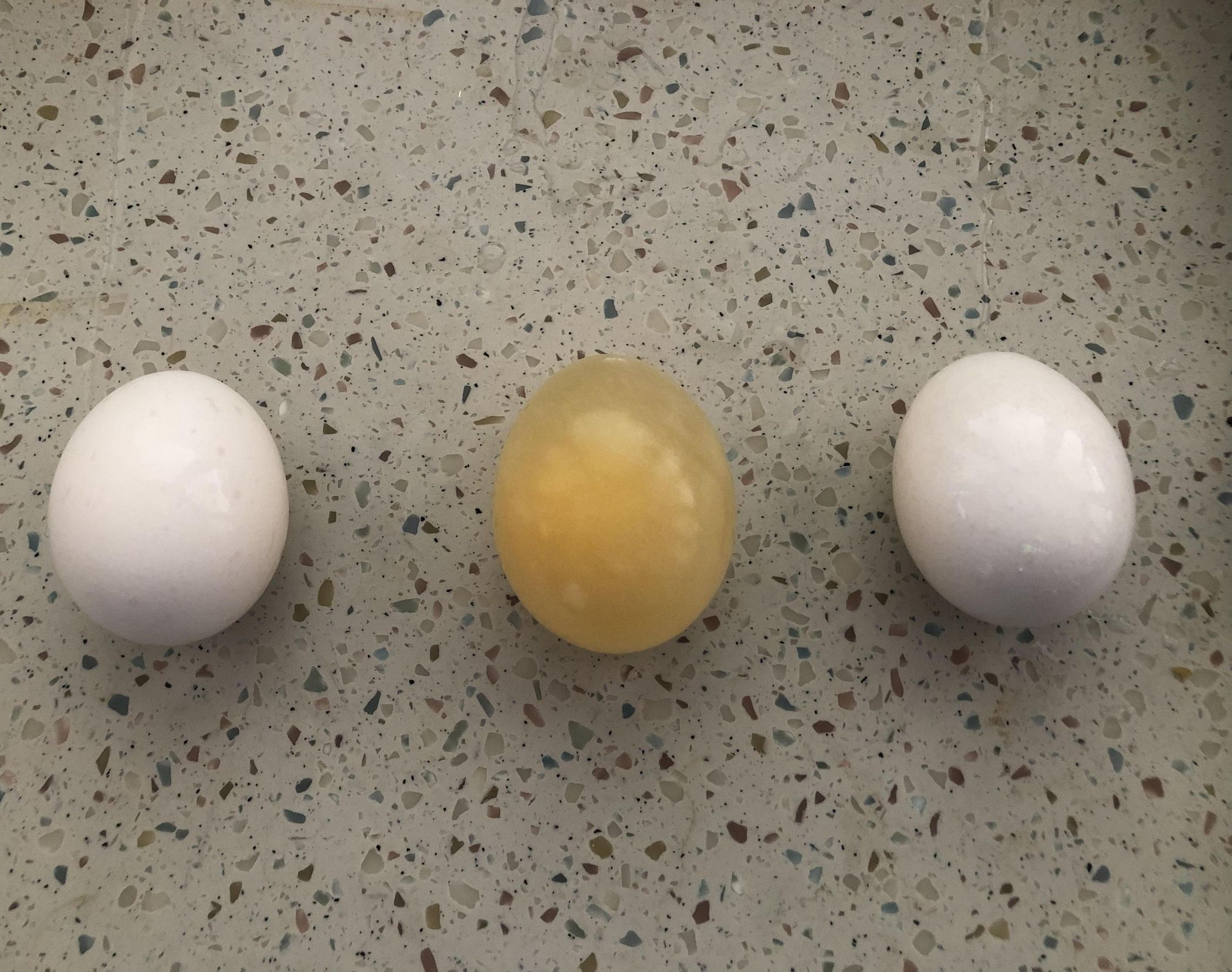 Naked Egg Experiment and Cleaning Hard Water Spots : 4 Steps (with ...