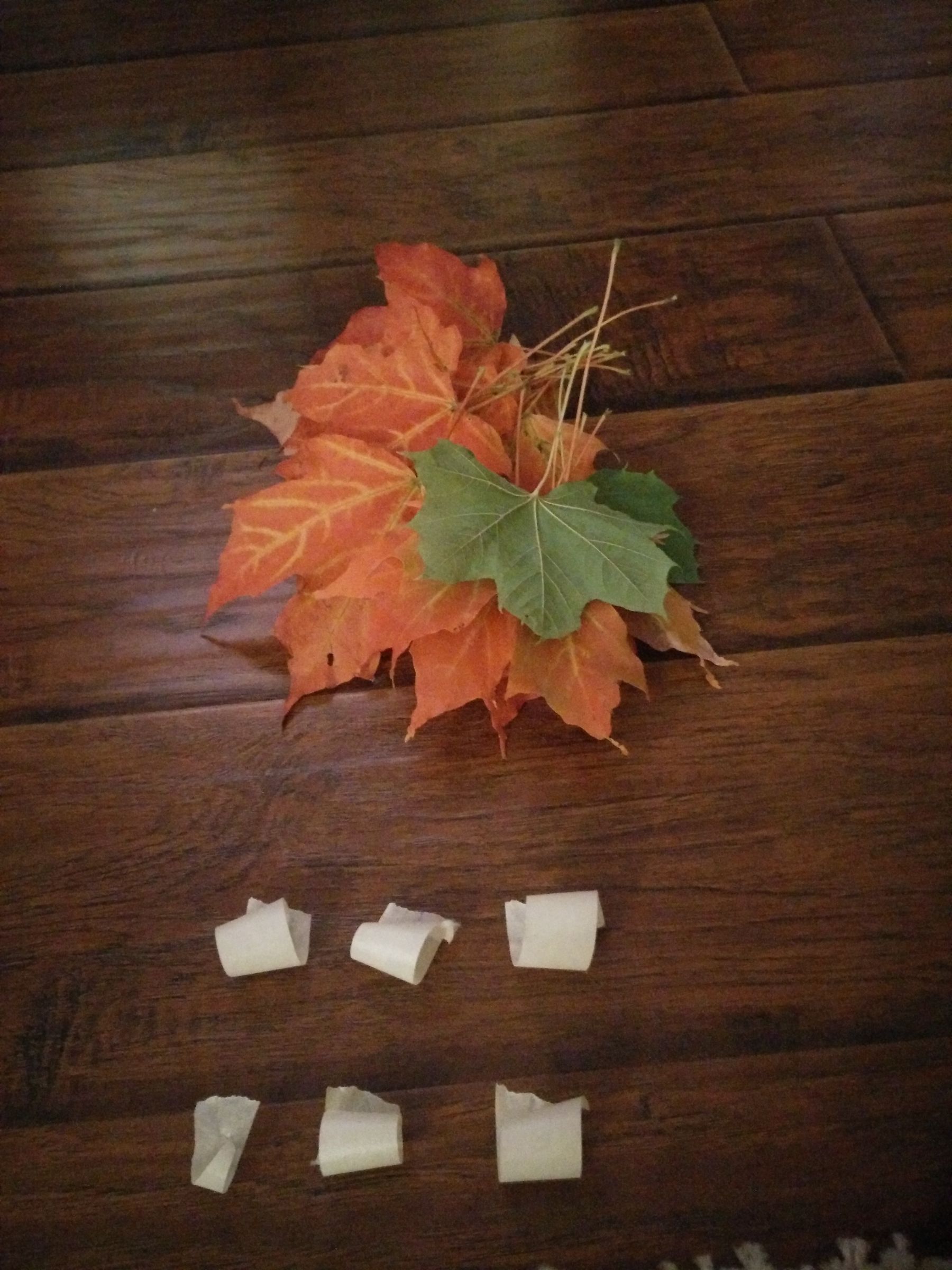Maple Leaf Roses : 10 Steps (with Pictures) - Instructables