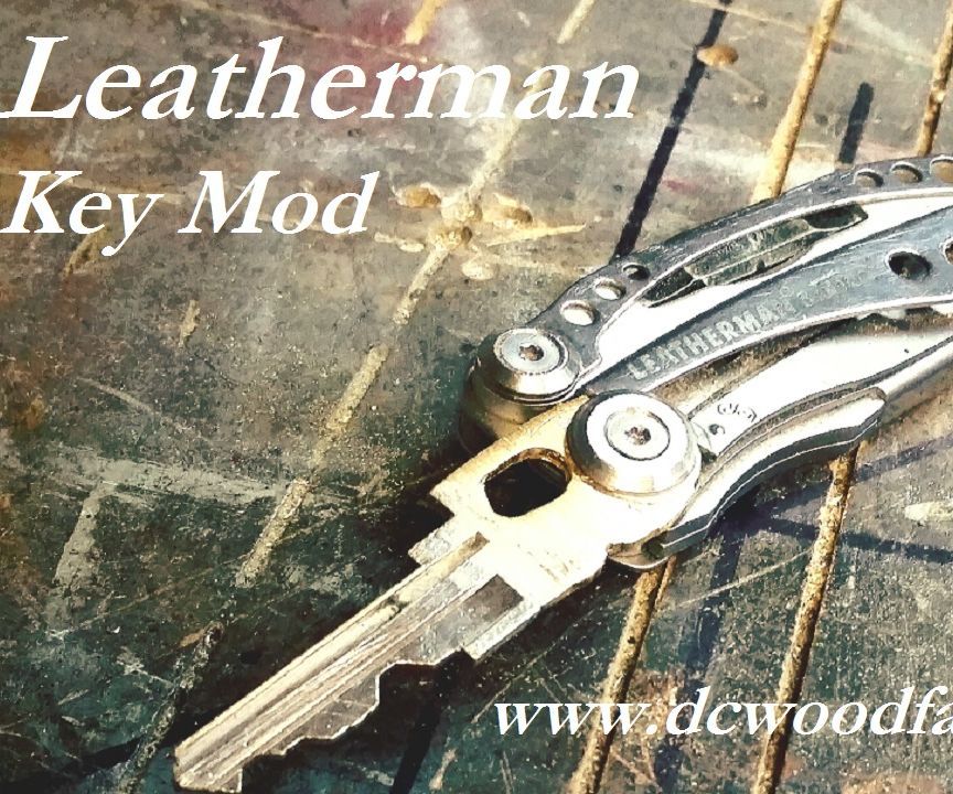 LEATHERMAN SKELETOOL KEY MOD : 3 Steps (with Pictures) - Instructables